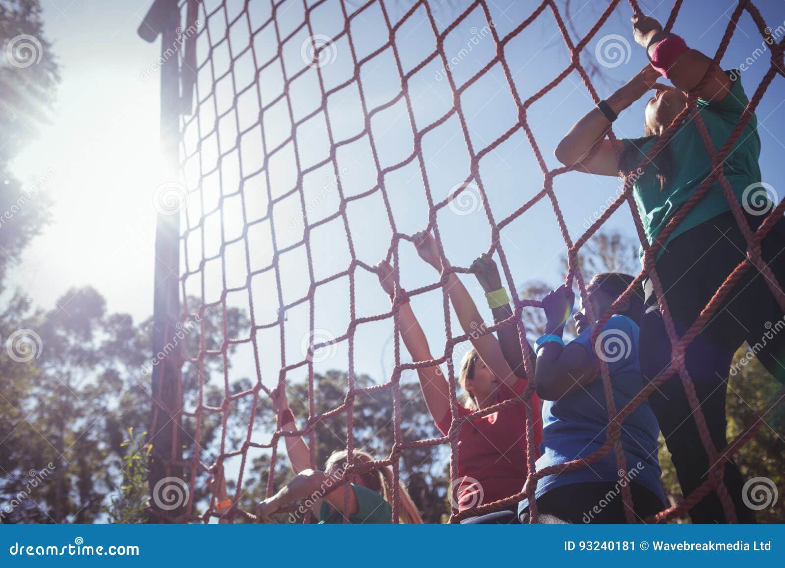 Group of Fit Woman Climbing a Net during Obstacle Course Training Stock ...