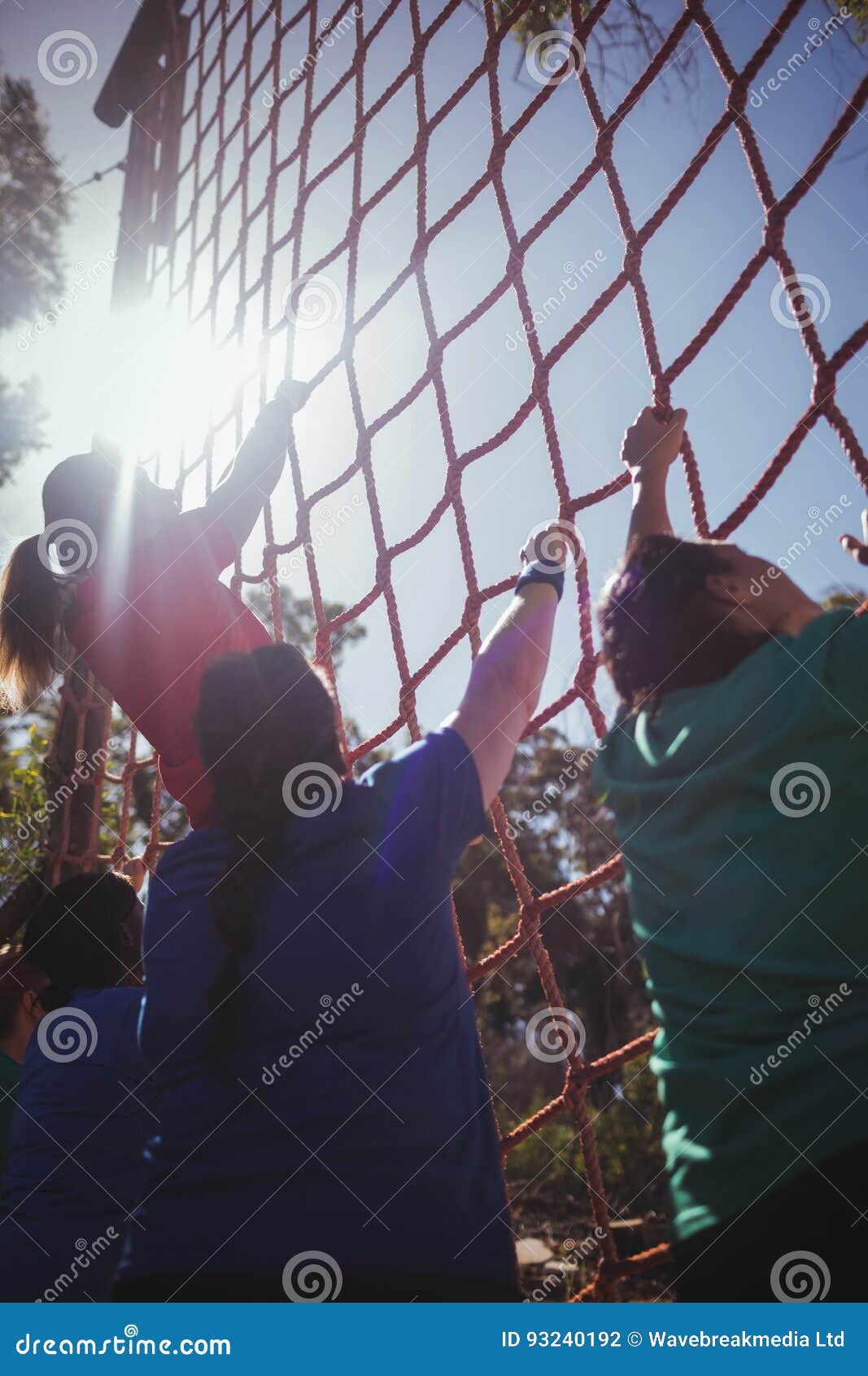 Group of Fit Woman Climbing a Net during Obstacle Course Training Stock ...