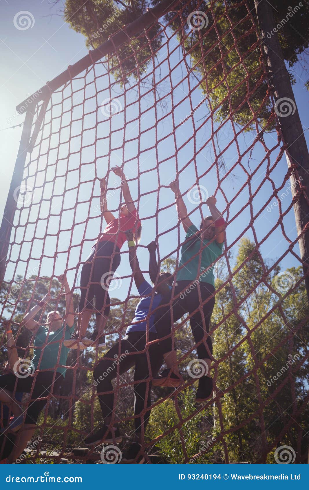 Group of Fit Woman Climbing a Net during Obstacle Course Training Stock ...