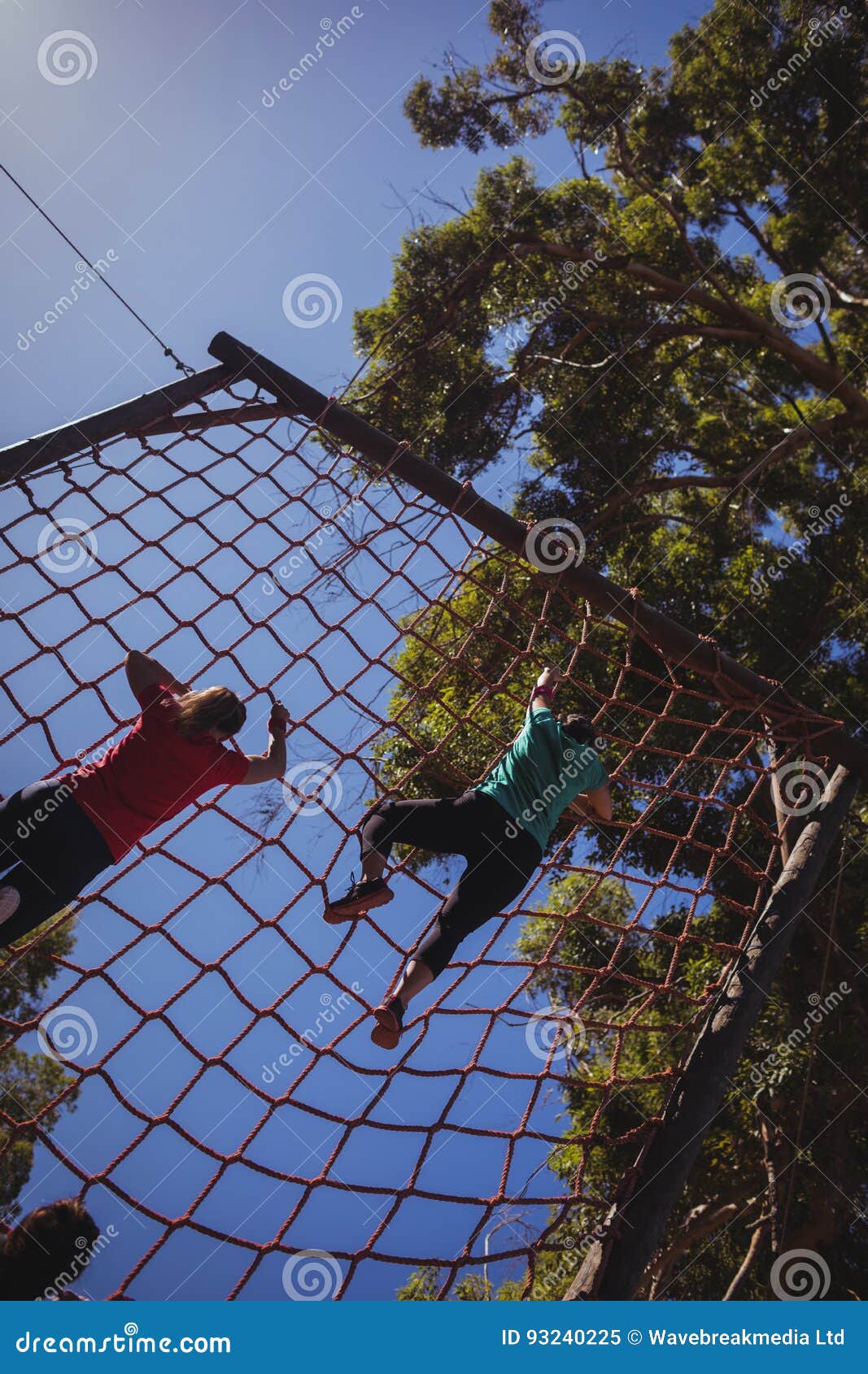 Group of Fit Woman Climbing a Net during Obstacle Course Training Stock ...
