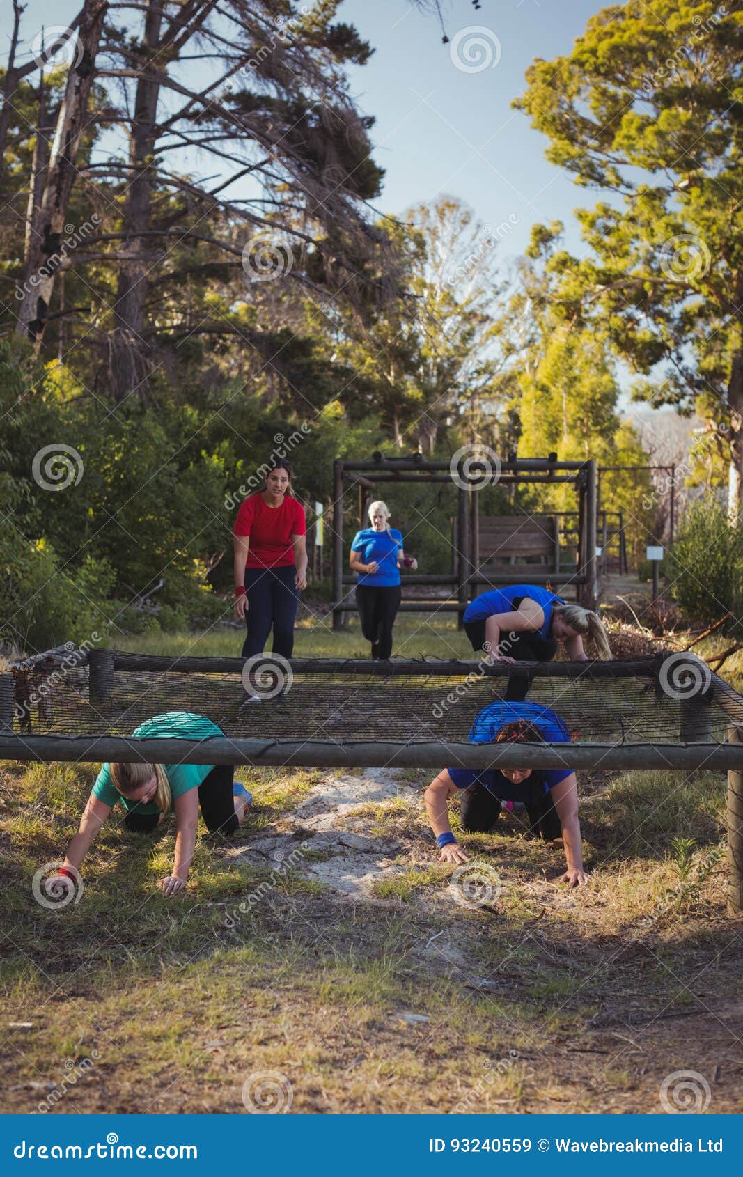 Group of Fit Women Crawling Under the Net during Obstacle Course ...