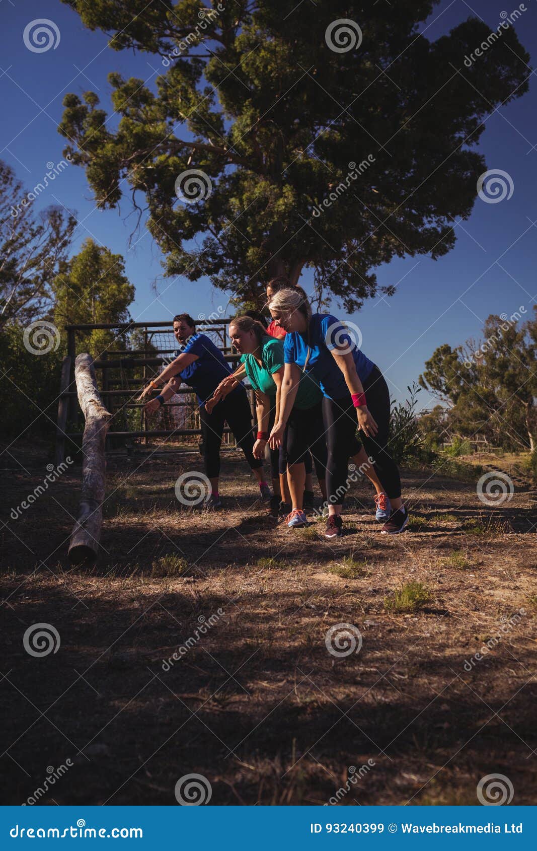 Group of Fit Women Throwing a Heavy Wooden Log during Obstacle Course ...