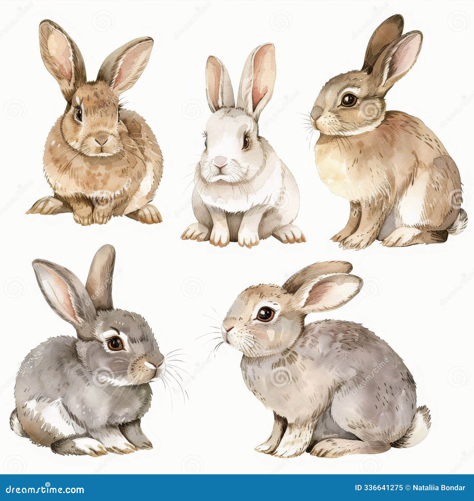 Five Rabbits Stock Photo | CartoonDealer.com #4376160