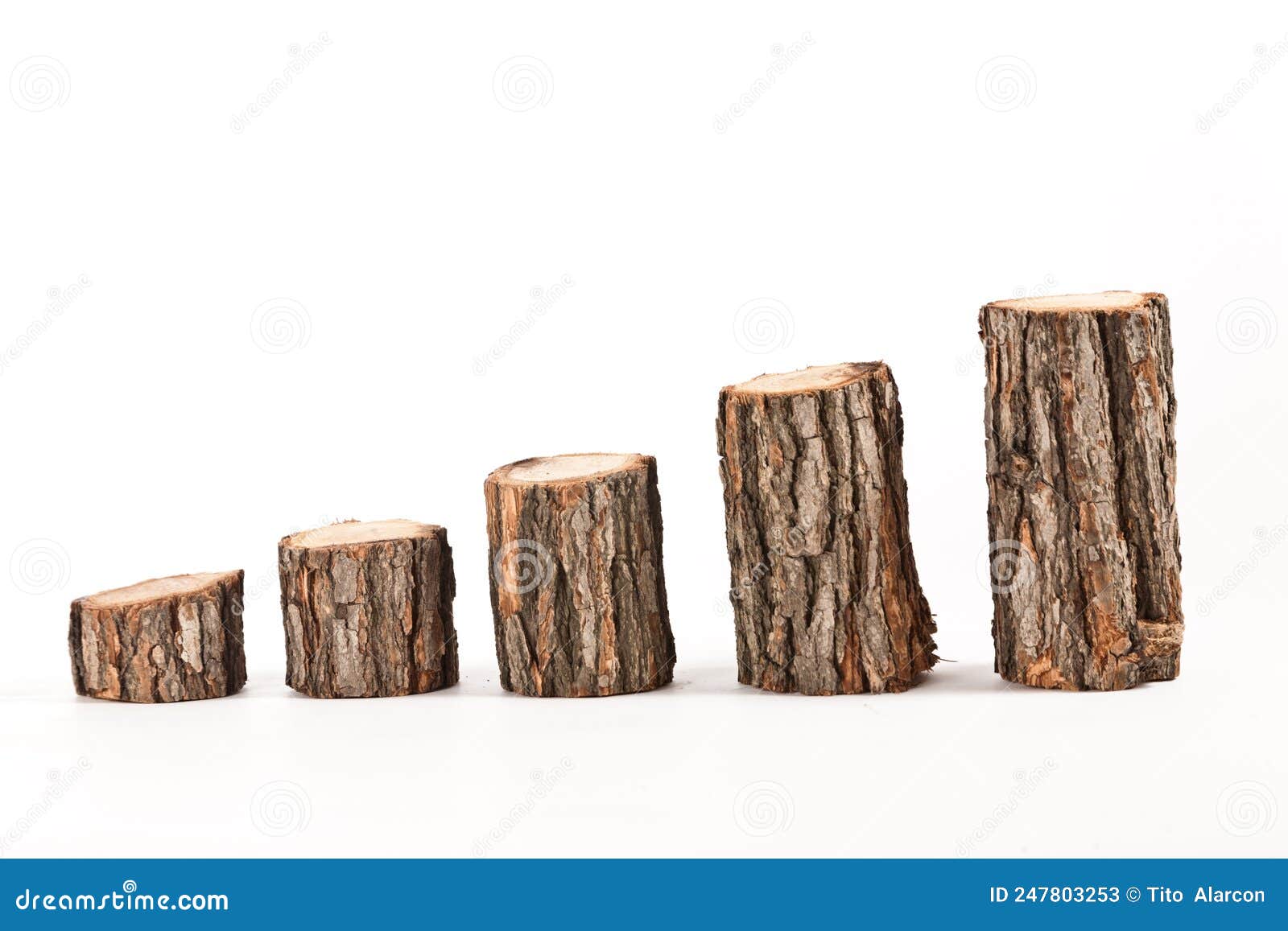 Group of five tree trunks stock image. Image of eating - 247803253