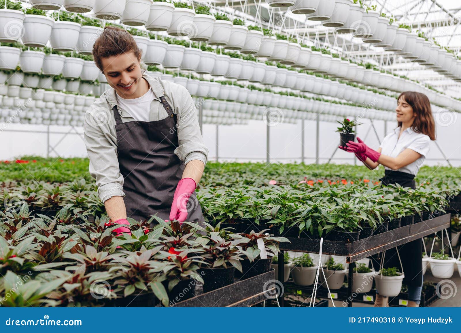 Group of Florists Arranging Pots with Flowers in Greenhouse Stock Photo ...