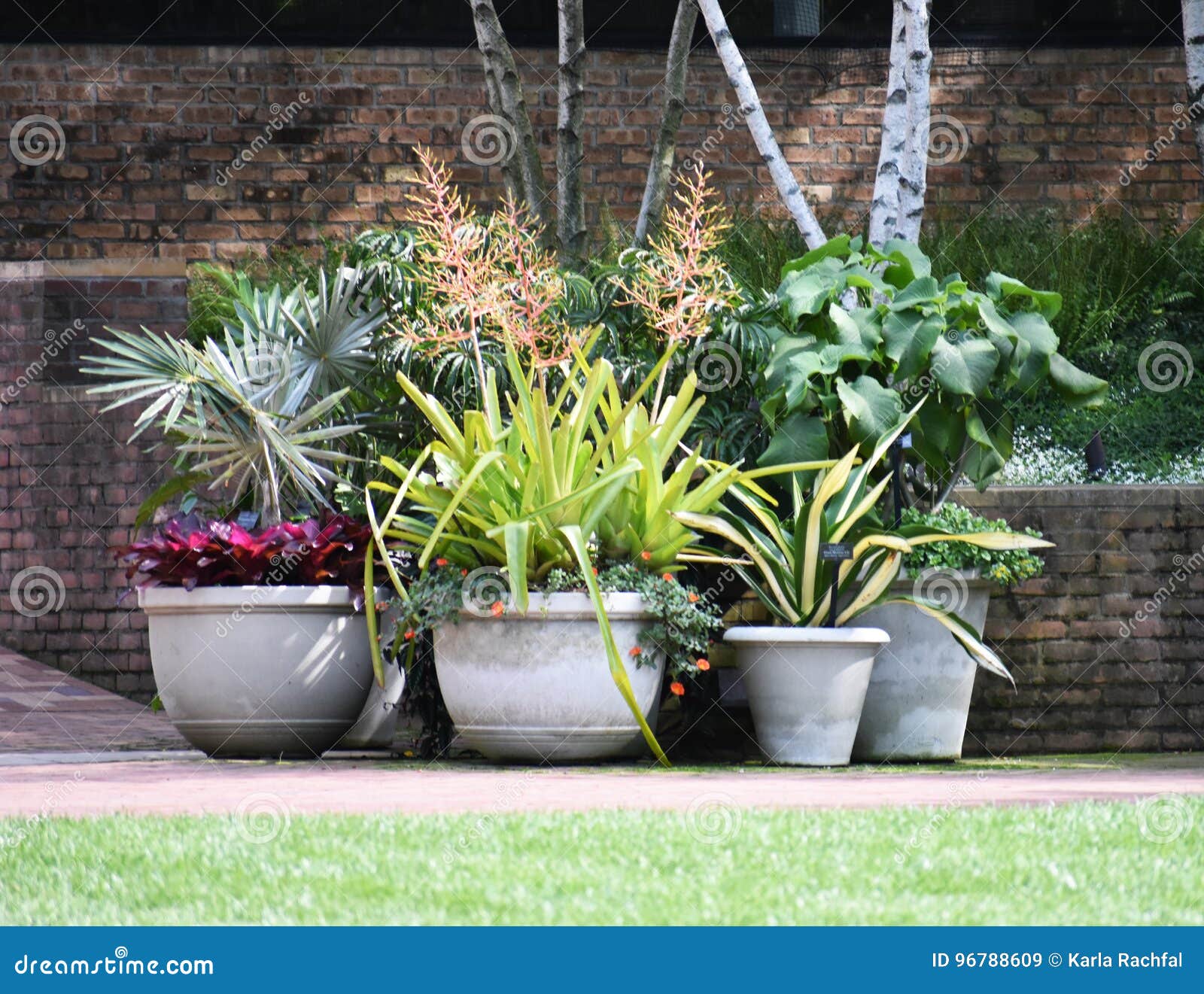 Group of Flower Arrangements Stock Image - Image of group, planters ...