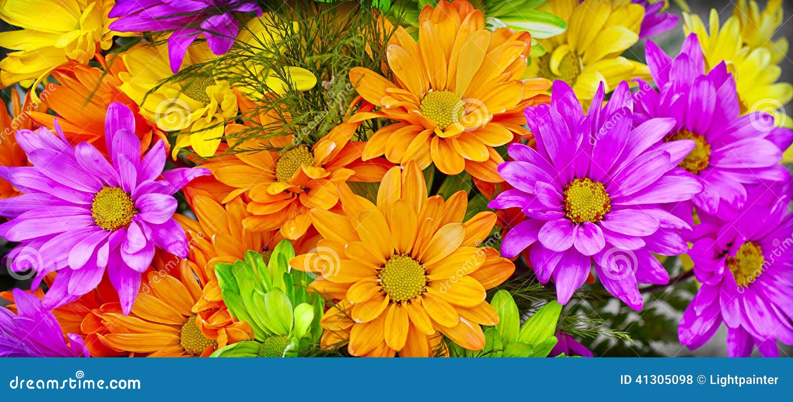 Group of flowers stock photo. Image of colorful, fresh - 41305098