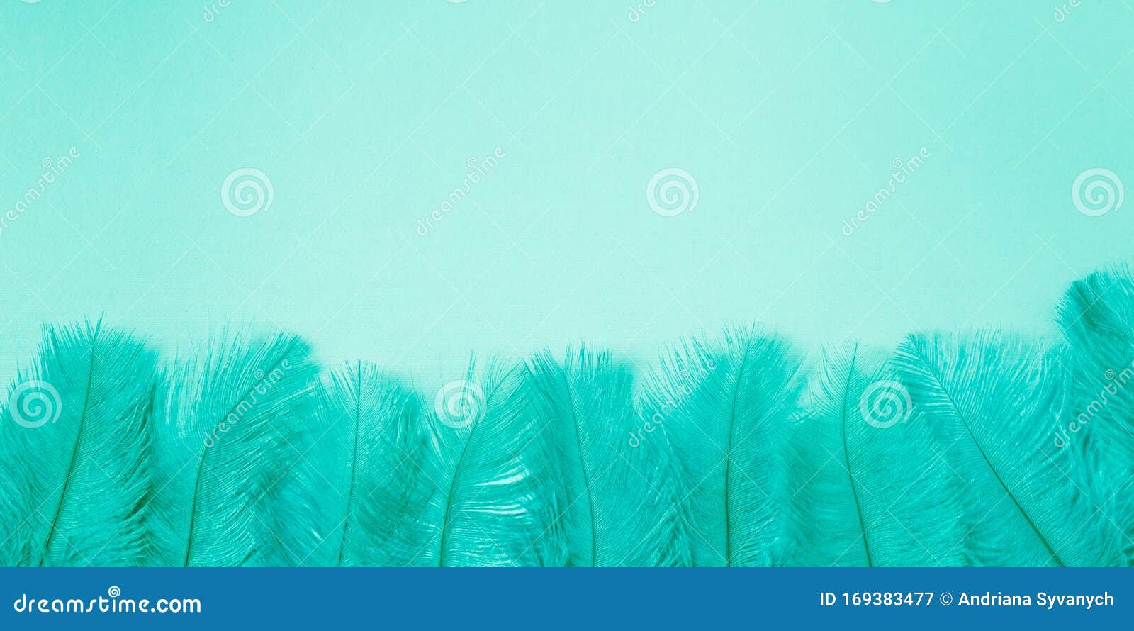 Group of Fluffy Blue Feathers Border Background Stock Image - Image of ...