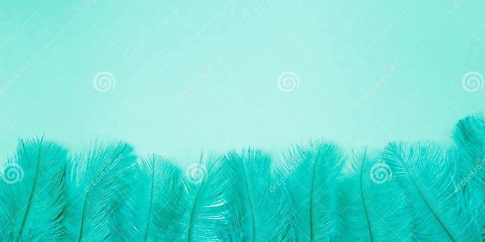 Group of Fluffy Blue Feathers Border Background Stock Image - Image of ...