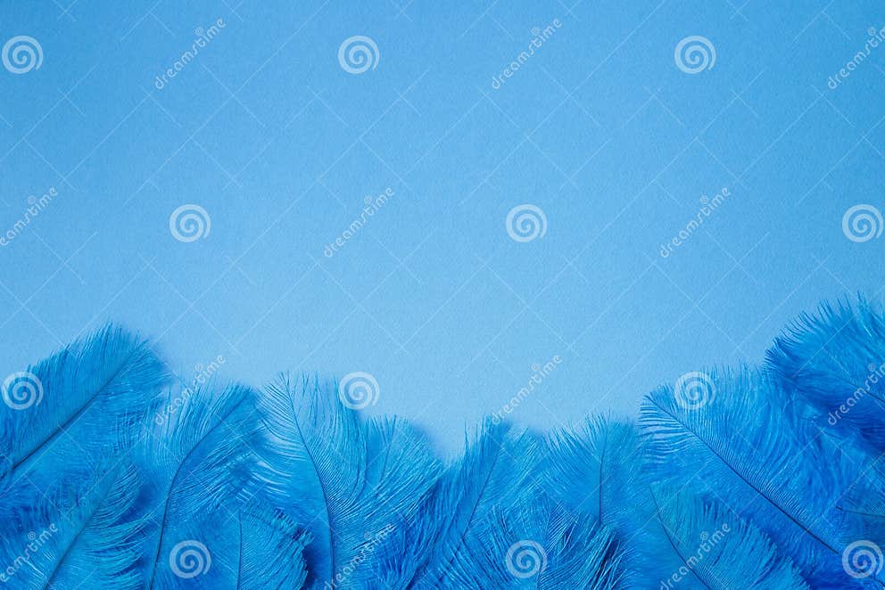 Group of Fluffy Blue Feathers Border Background Stock Photo - Image of ...