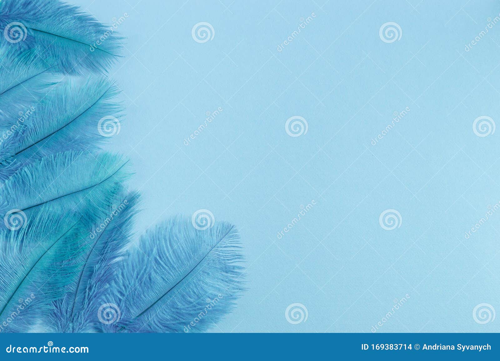 Group of Fluffy Blue Feathers Border Background Stock Photo - Image of ...