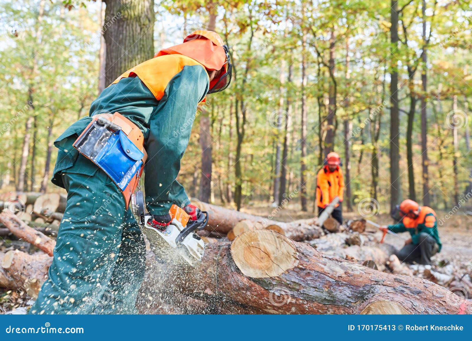 Group of Forest Workers Sawing Logs Stock Image - Image of management ...