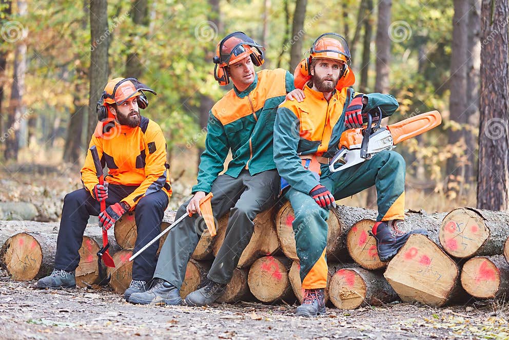 Group of Foresters at Forest Work in the Forest Stock Photo - Image of ...