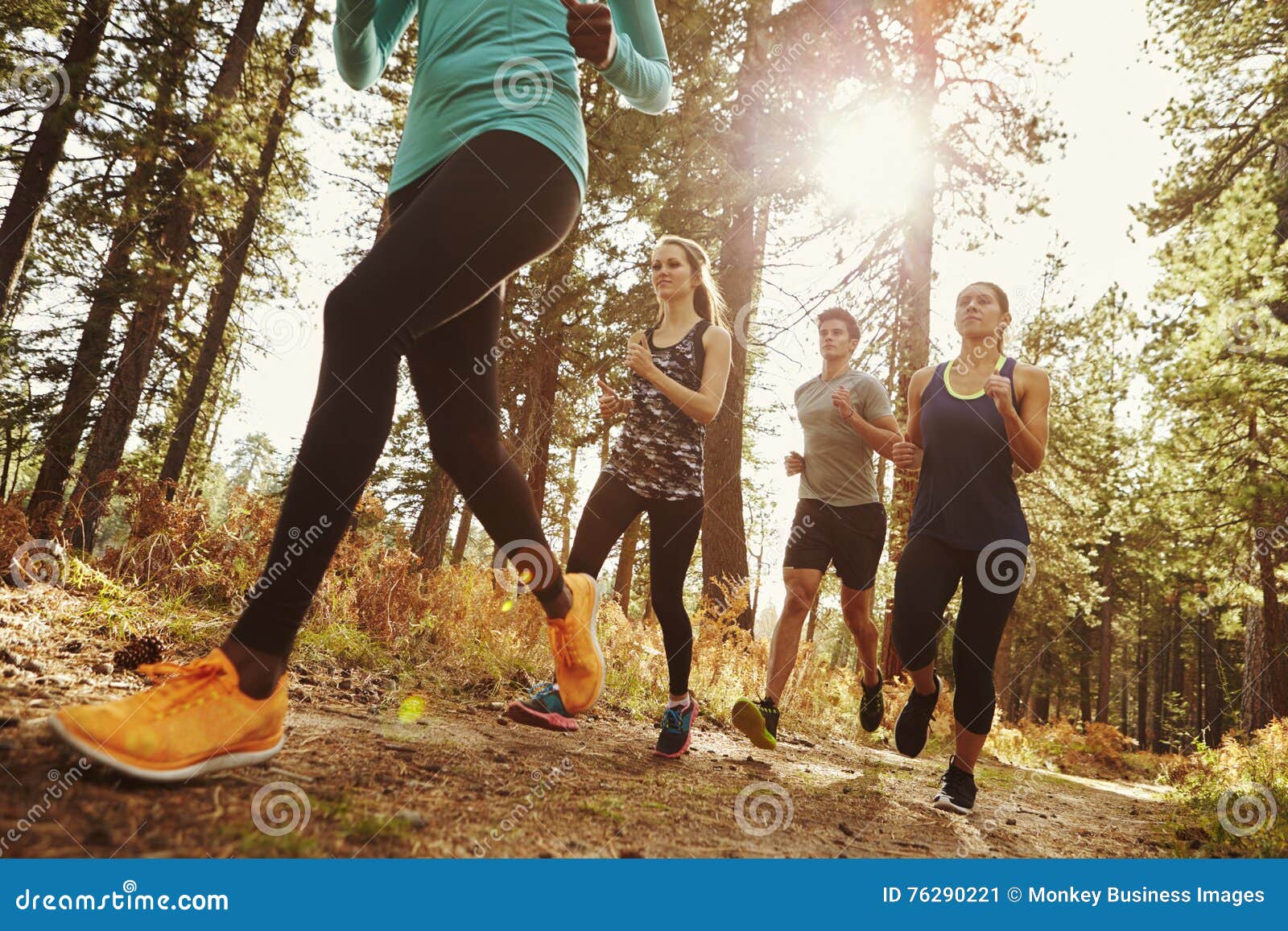 Group of Four Adults Running in a Forest, Low Angle Close Up Stock ...