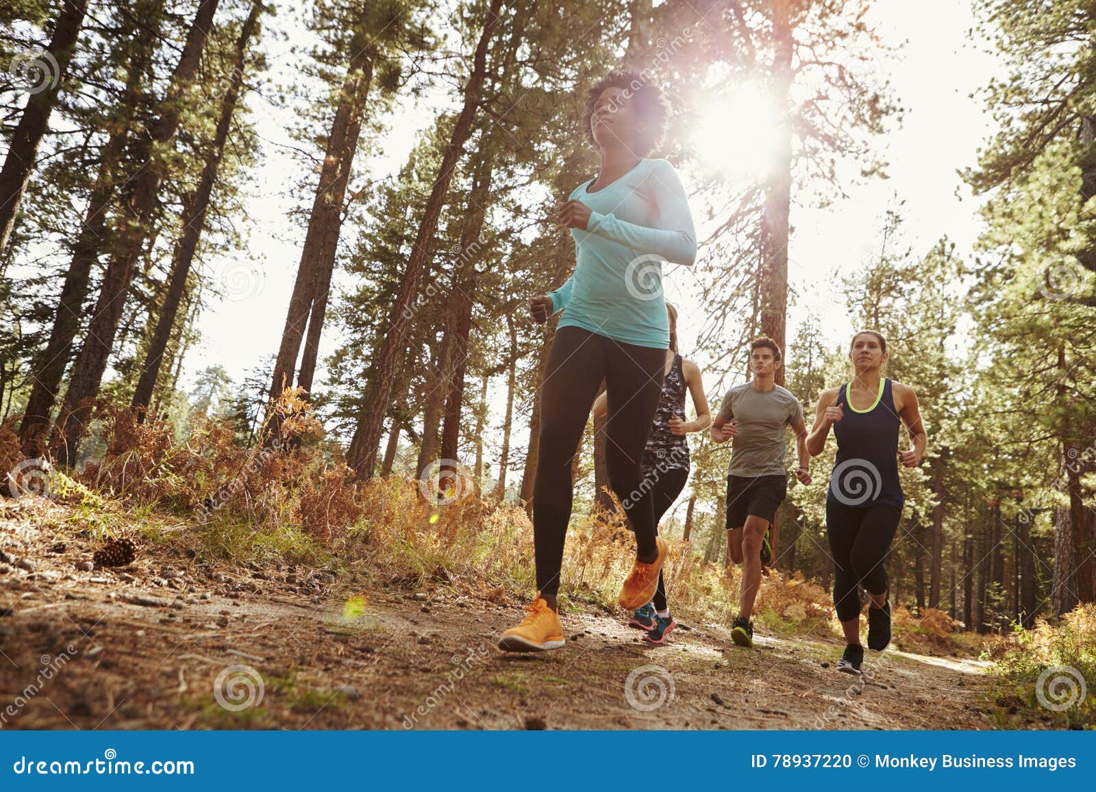 Group of Four Adults Running in a Forest, Low Angle View Stock Photo ...