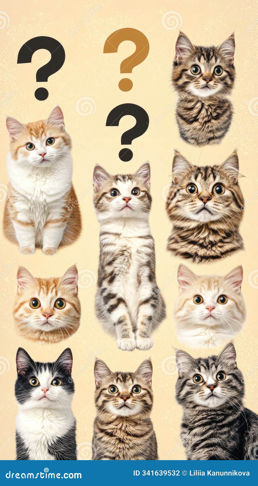 A Group of Four Cats Illustrates Curiosity, Each with Distinct Fur ...