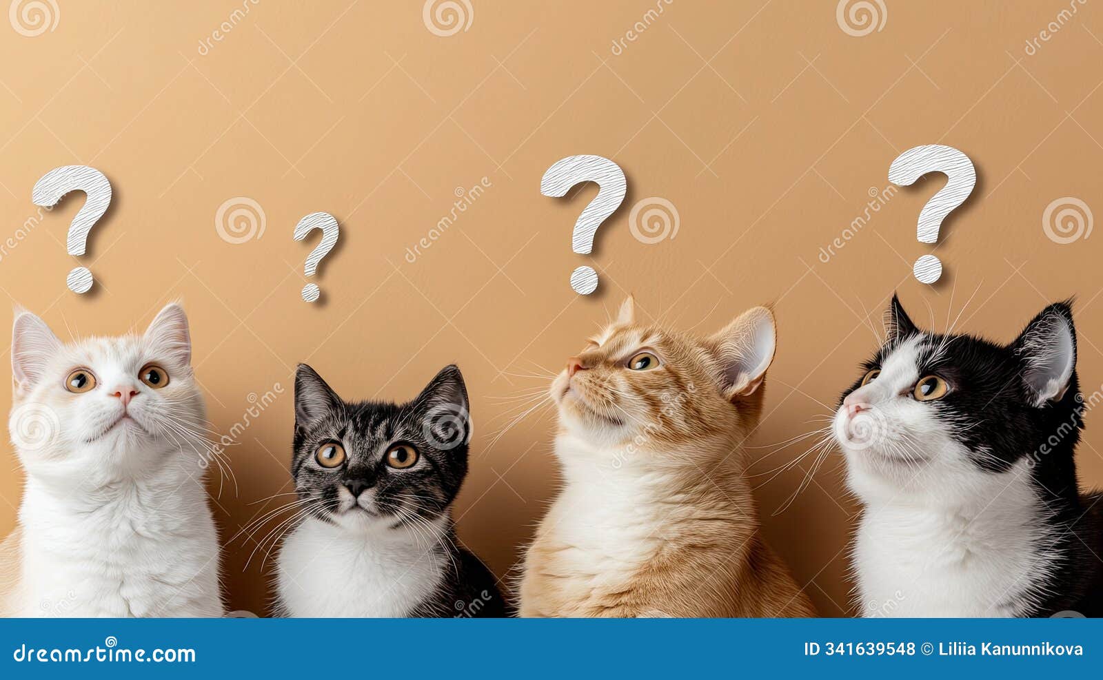 Whimsical Question Mark Particle Bounce: Playful Green Screen Effect AI ...