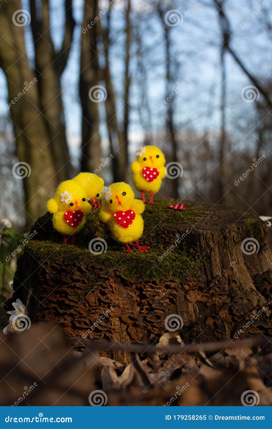 A Group of Four Easter Chicks Playing in the Fresh Air. Stock Image ...
