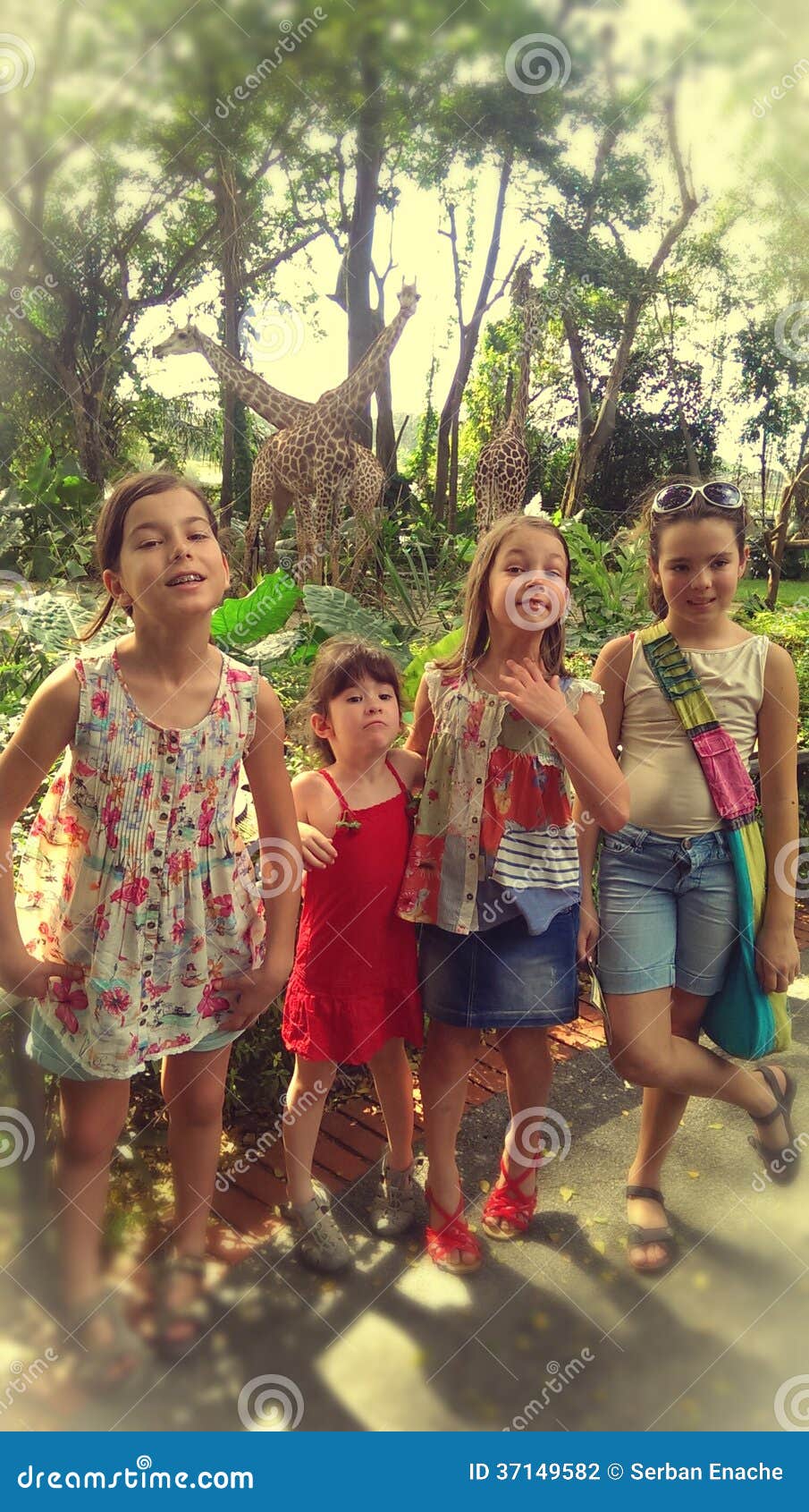 Group of four young girls stock photo. Image of girls - 37149582