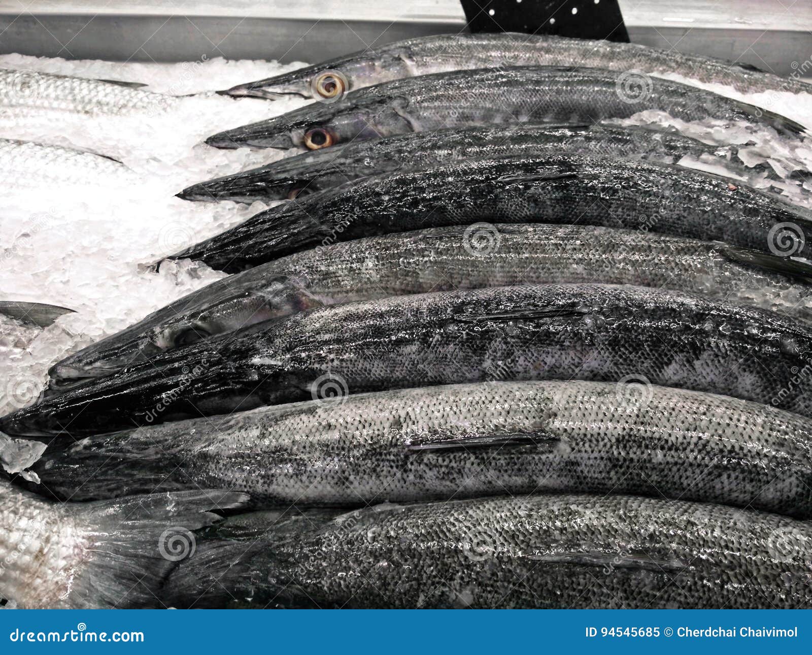 Group of Fresh Barracuda on Ice Stock Image - Image of arrangement ...