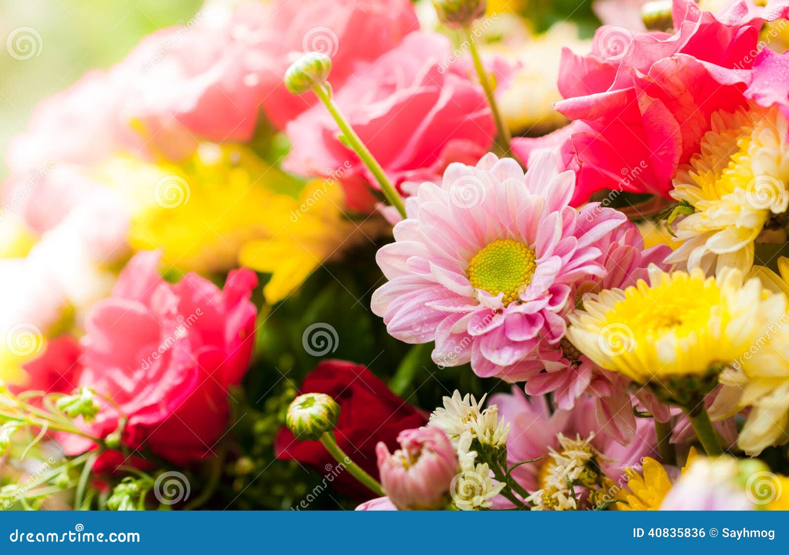 Group of Fresh Beautiful Flower Stock Photo - Image of bloom, detail ...