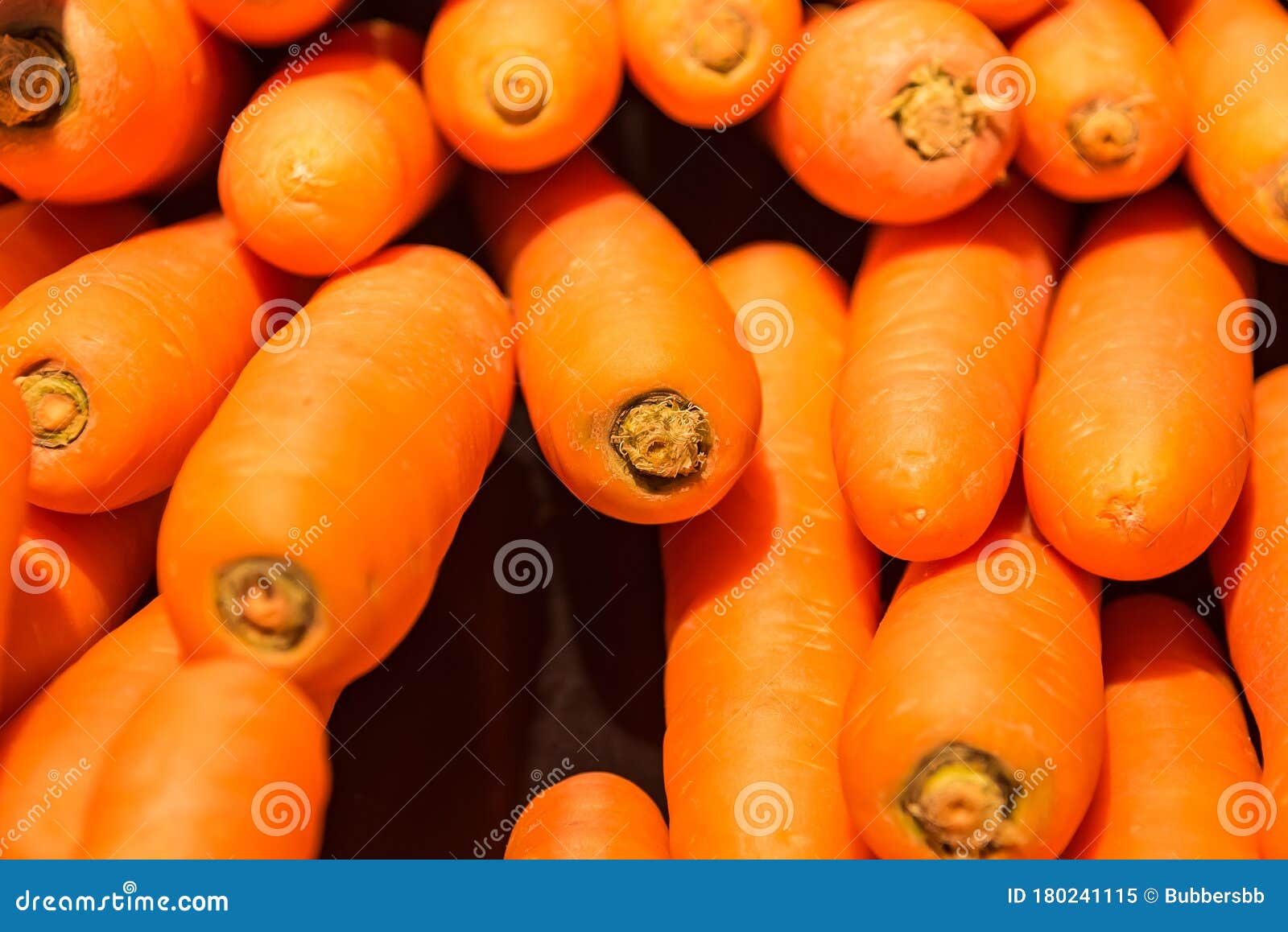 Group of Fresh Big Carrots, Carrots Harvest Stock Image - Image of ...