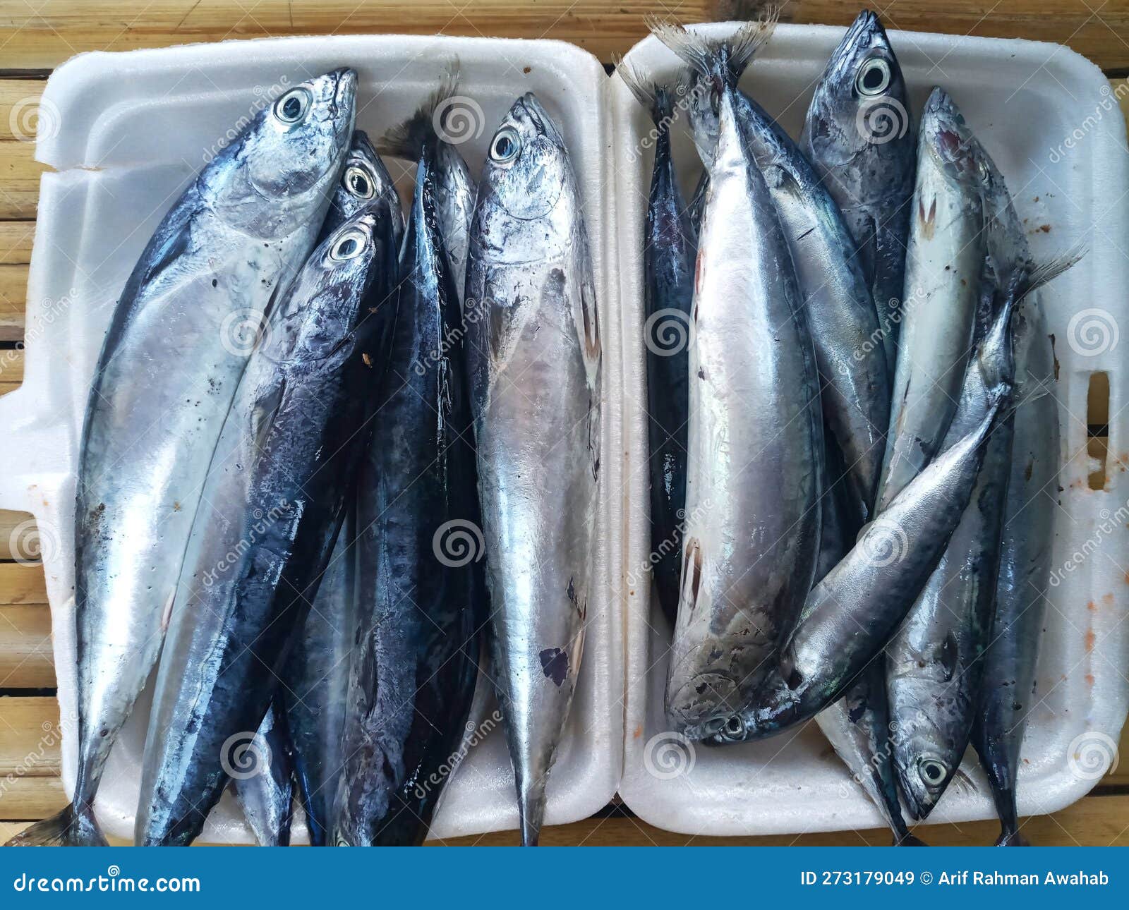 Group of Fresh Bullet Tuna Fish on White Styrofoam on Bamboo Surface ...