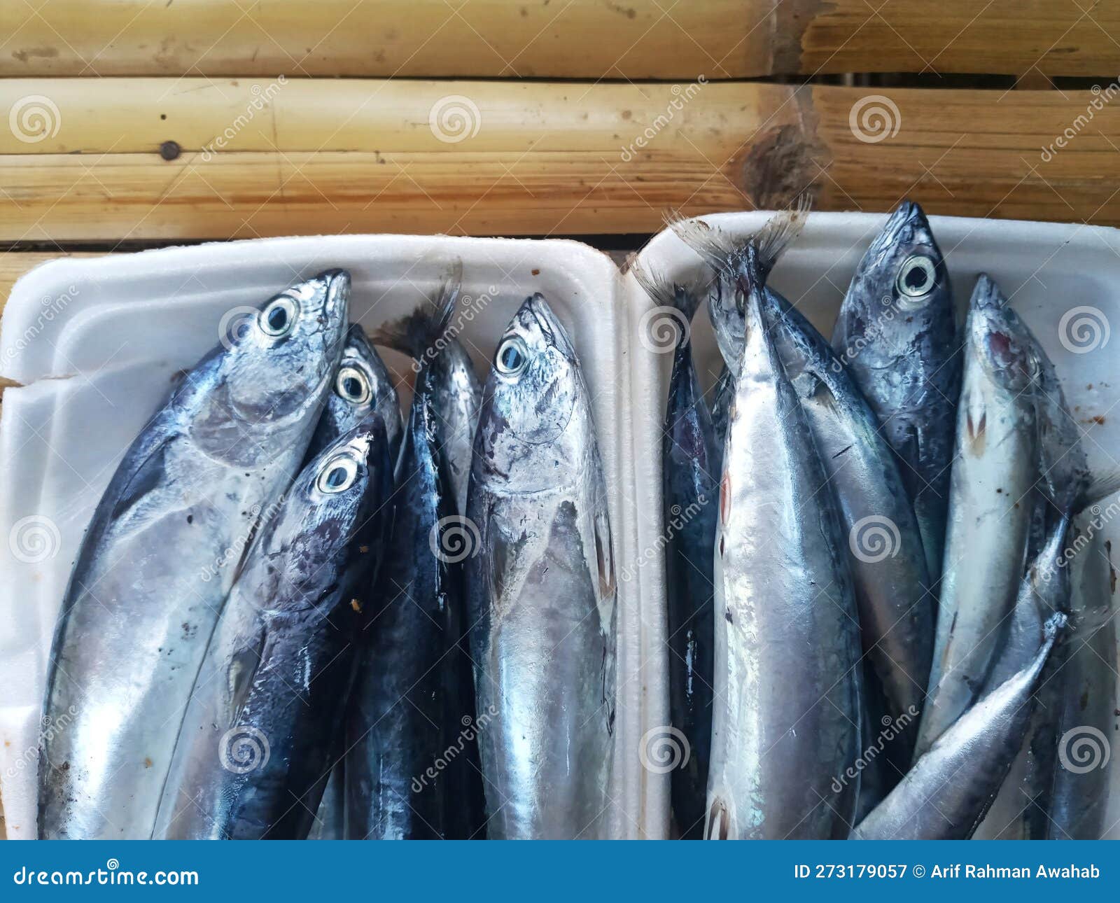 Group of Fresh Bullet Tuna Fish on White Styrofoam on Bamboo Surface ...