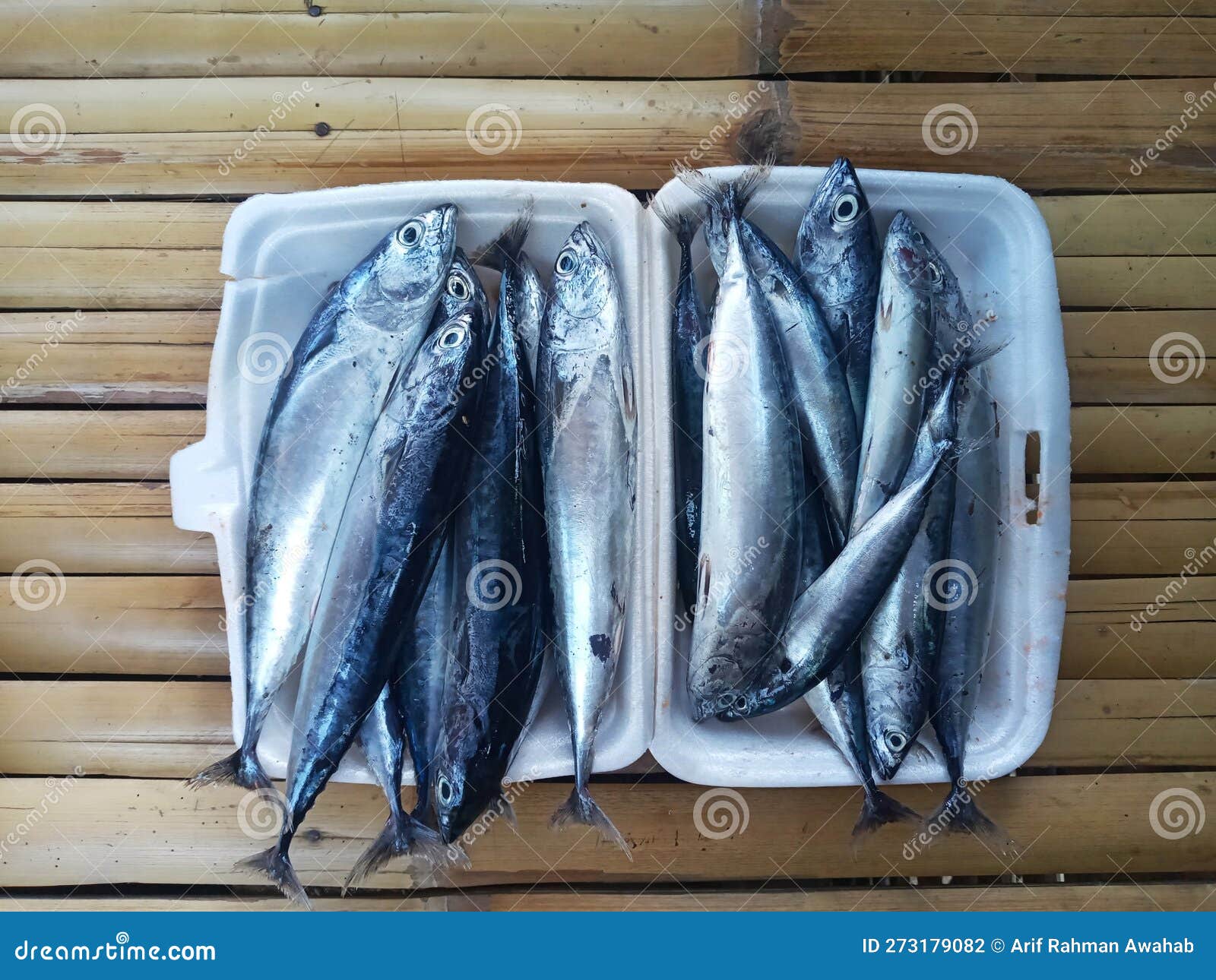 Group of Fresh Bullet Tuna Fish on White Styrofoam on Bamboo Surface ...