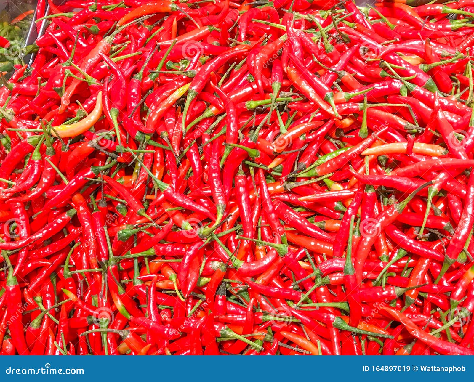Group of Fresh Chilli in a Supermarket Stock Image - Image of chili ...