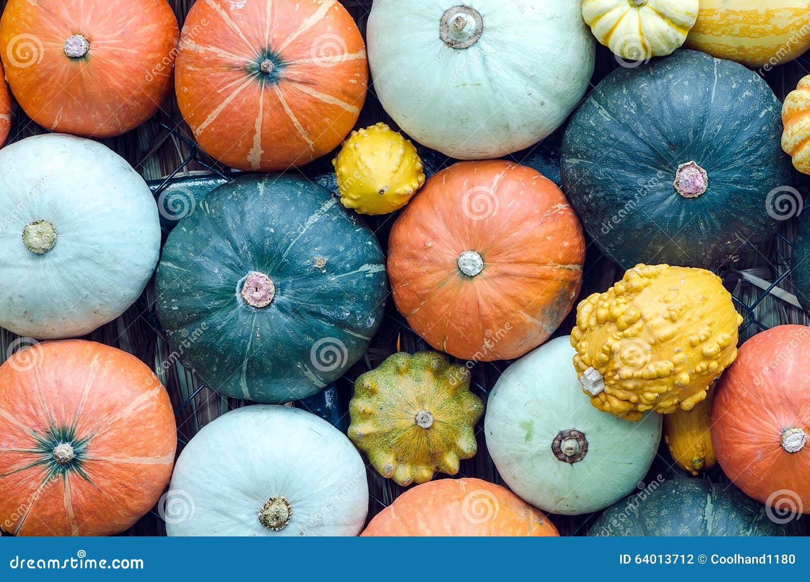 Group of fresh crops stock photo. Image of fresh, crop - 64013712