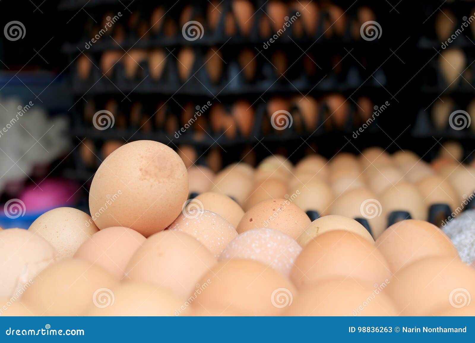 Group of Fresh Eggs on Egg Black Panel Package from a Chicken Farm in ...