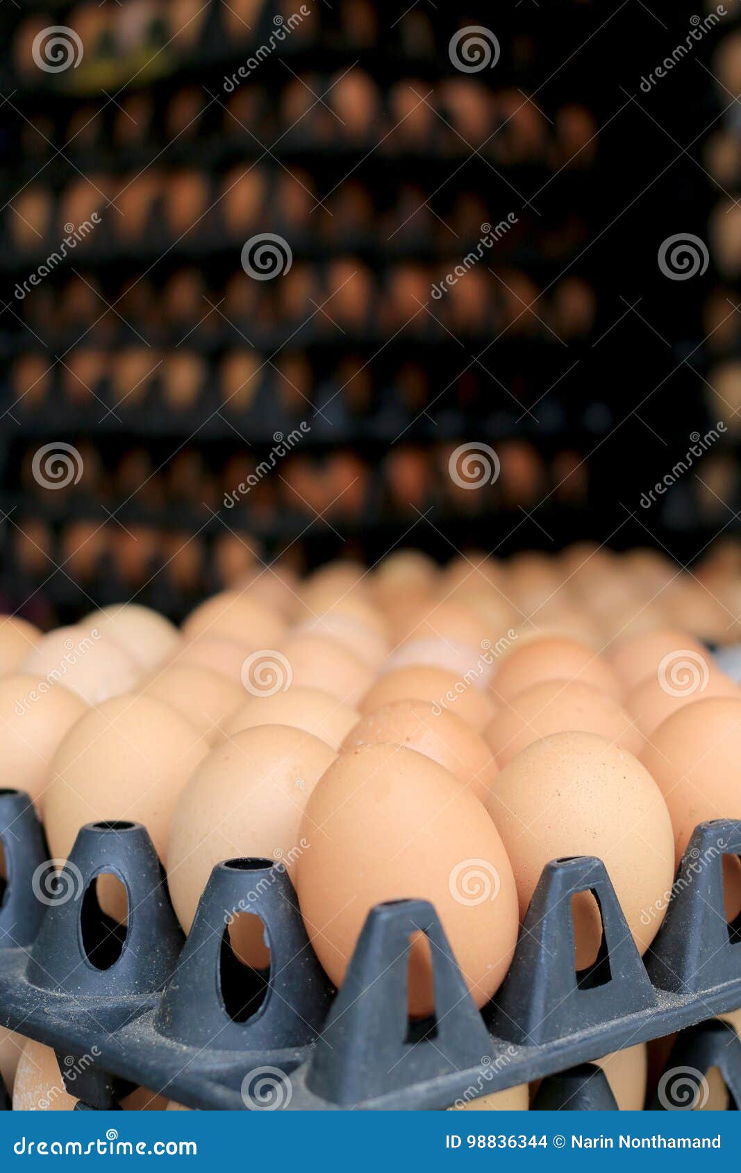 Group of Fresh Eggs on Egg Black Panel Package from a Chicken Farm in ...