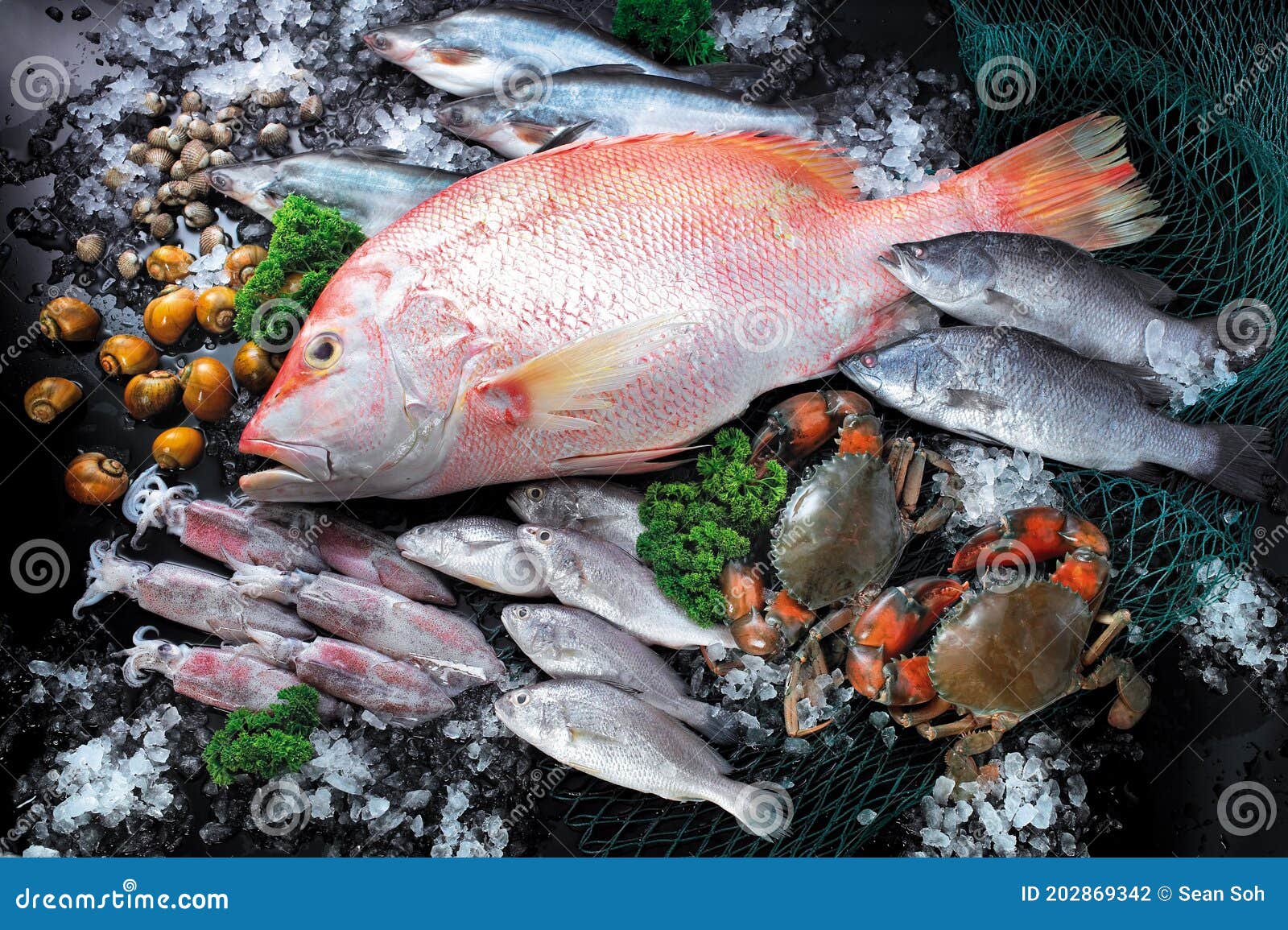 Group of Fresh Fish,crab and Squid Stock Photo - Image of market, group ...