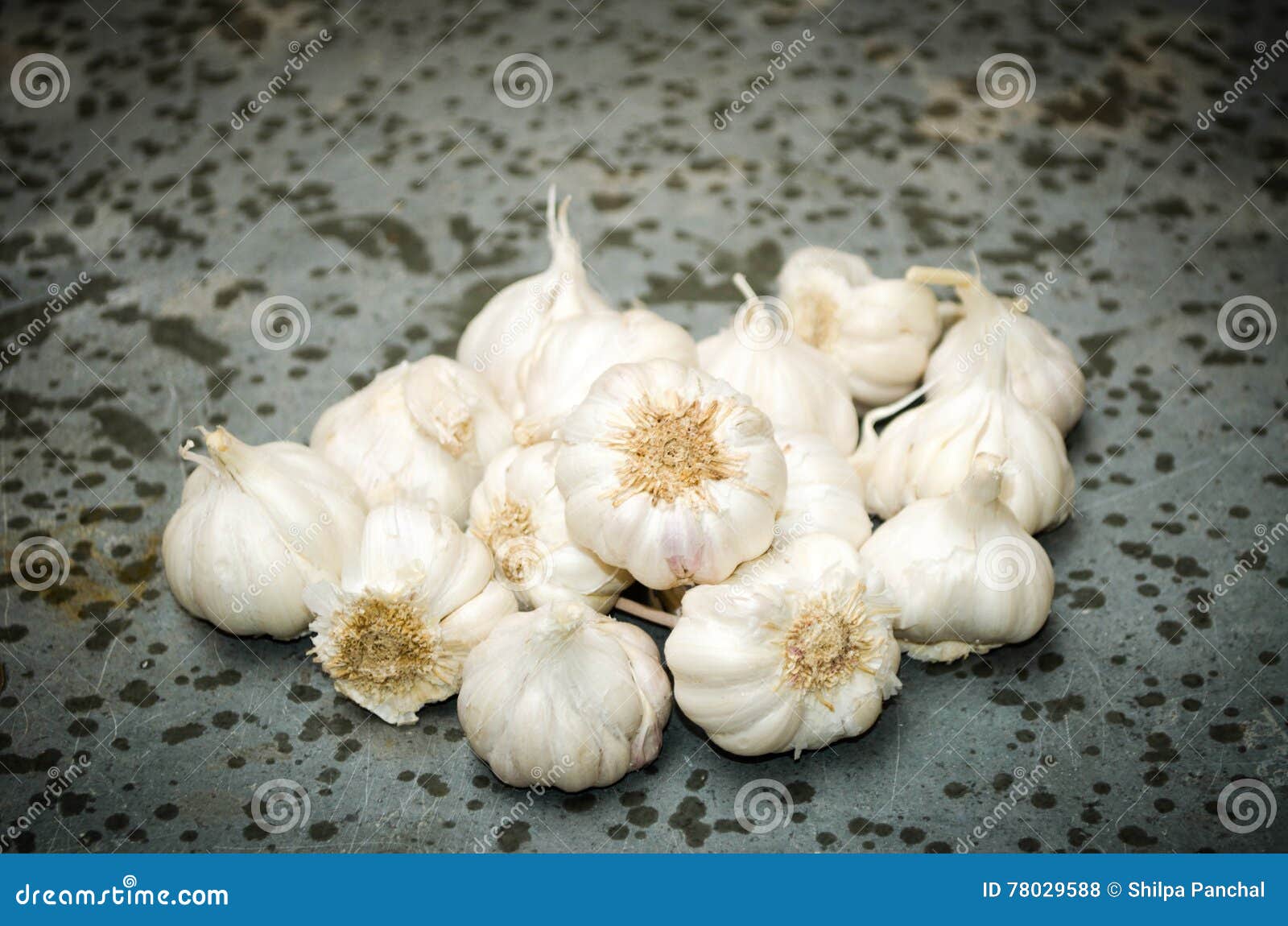 Group of Fresh Garlic stock photo. Image of natural, clove - 78029588