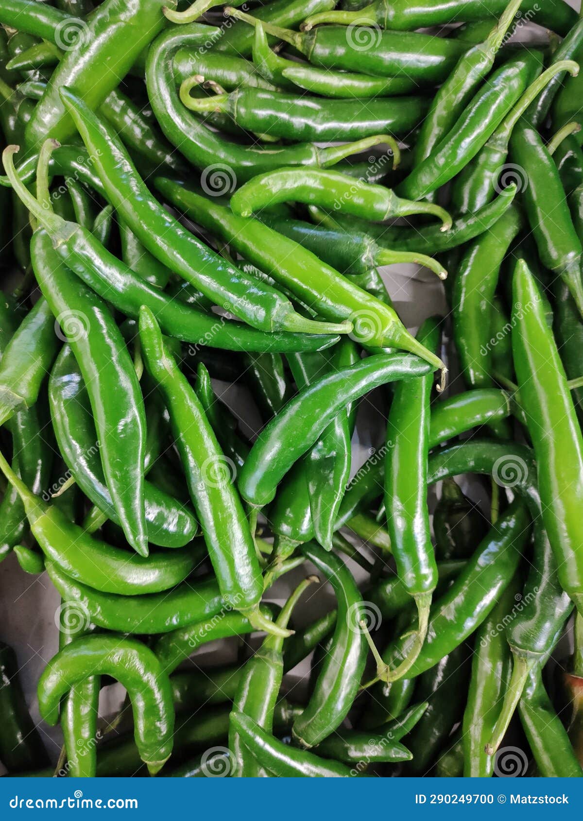Group of Fresh Green Chilli Pepper Stock Photo - Image of chilli, leaf ...