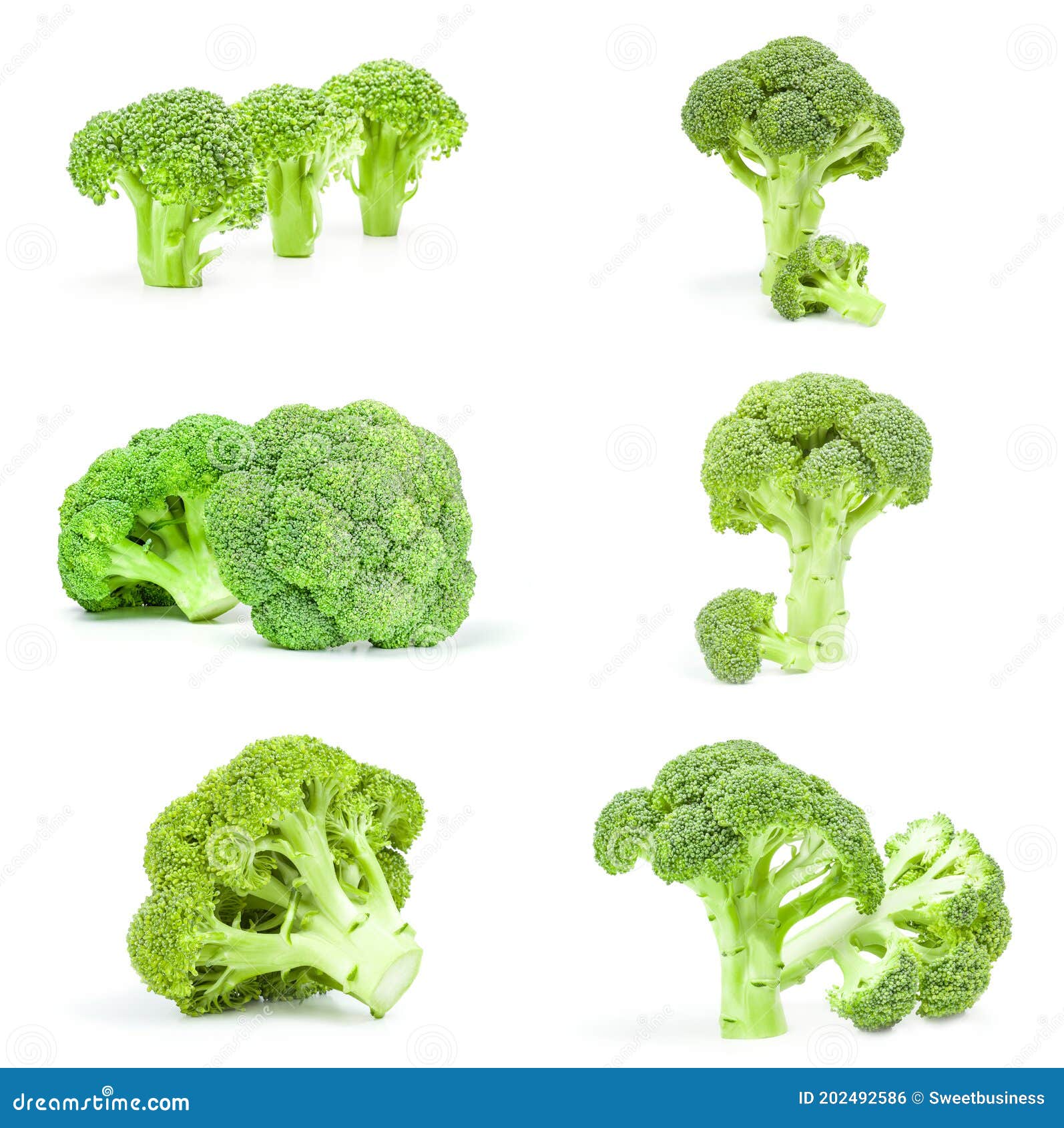 Collection of Broccoli Floret on a White Background Stock Photo - Image ...