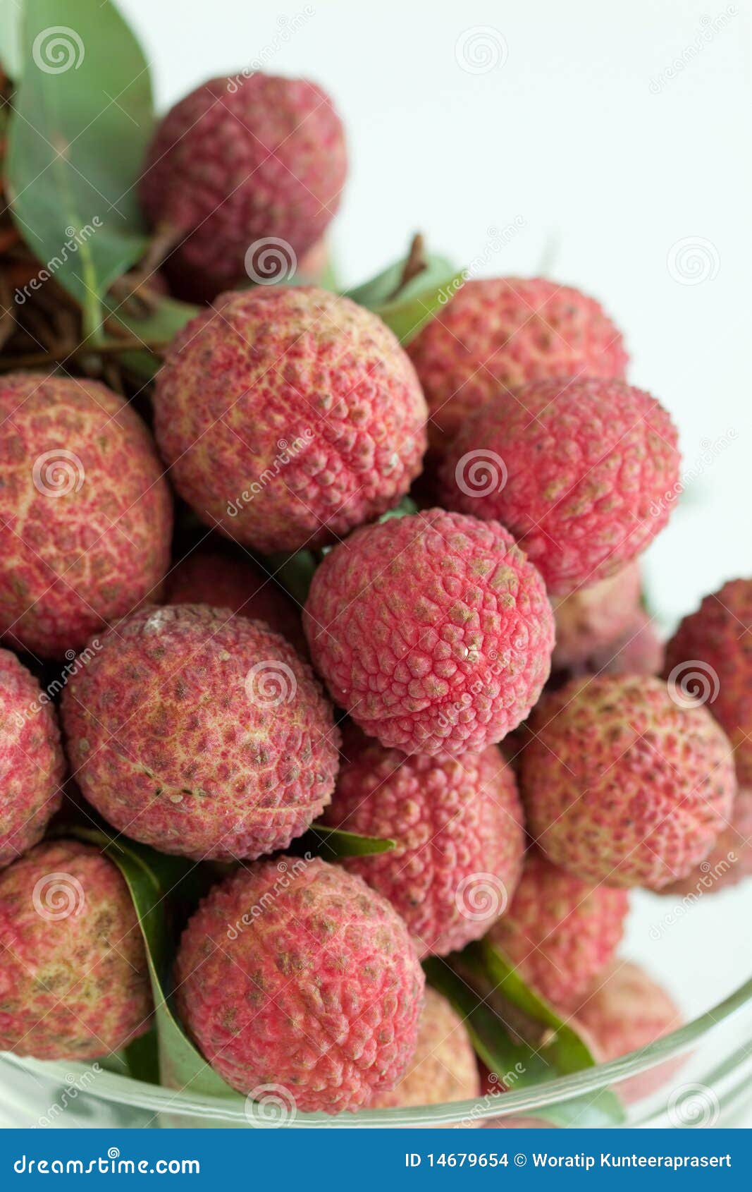Group of fresh lychee stock photo. Image of tropical - 14679654