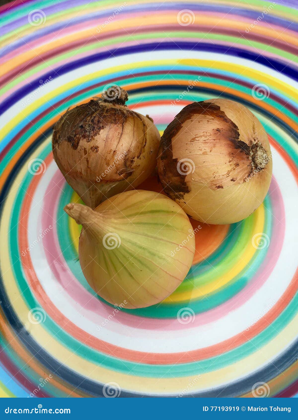 Group of fresh onions stock image. Image of harvest, board - 77193919