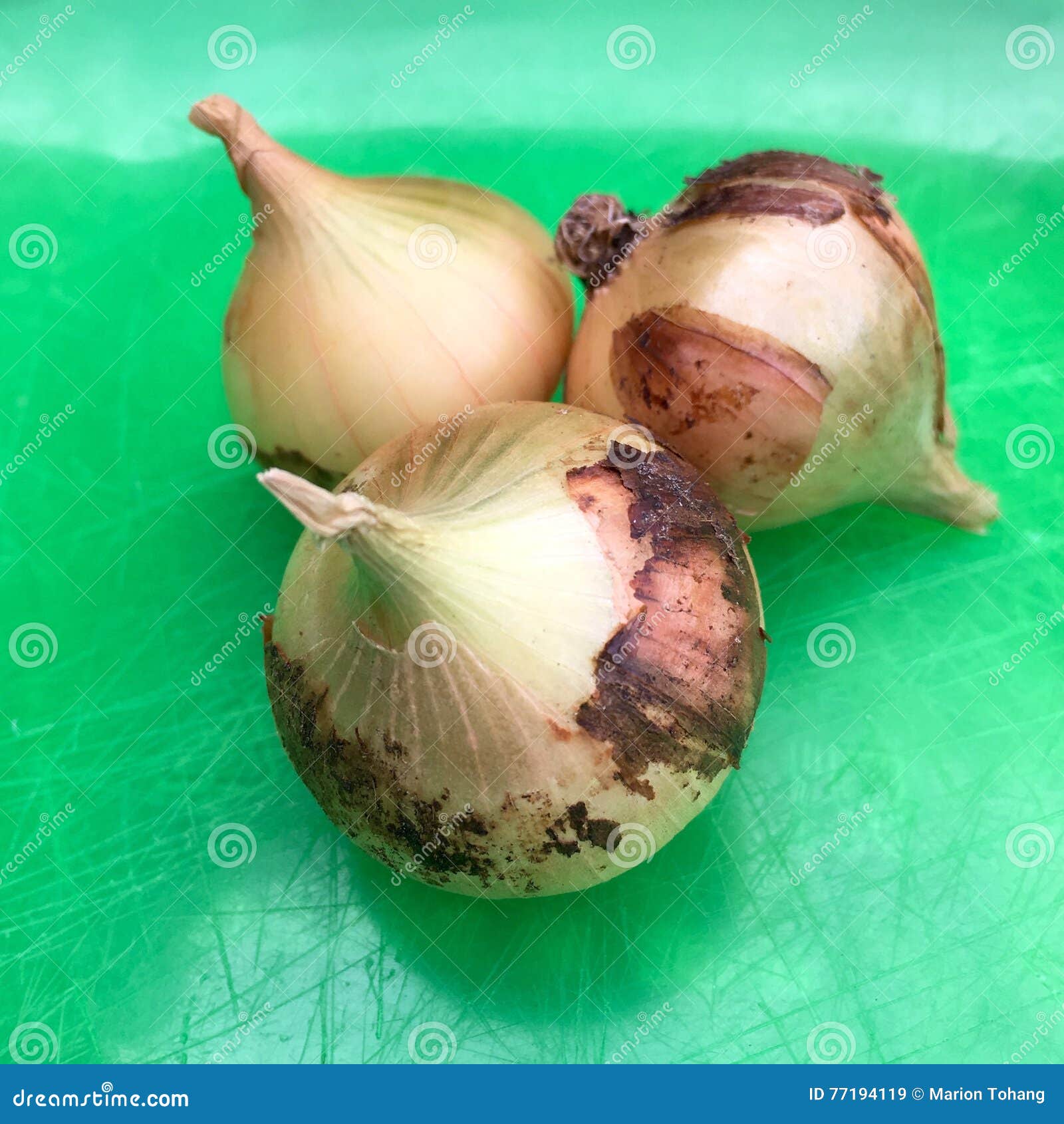 Group of fresh onions stock image. Image of eating, food - 77194119