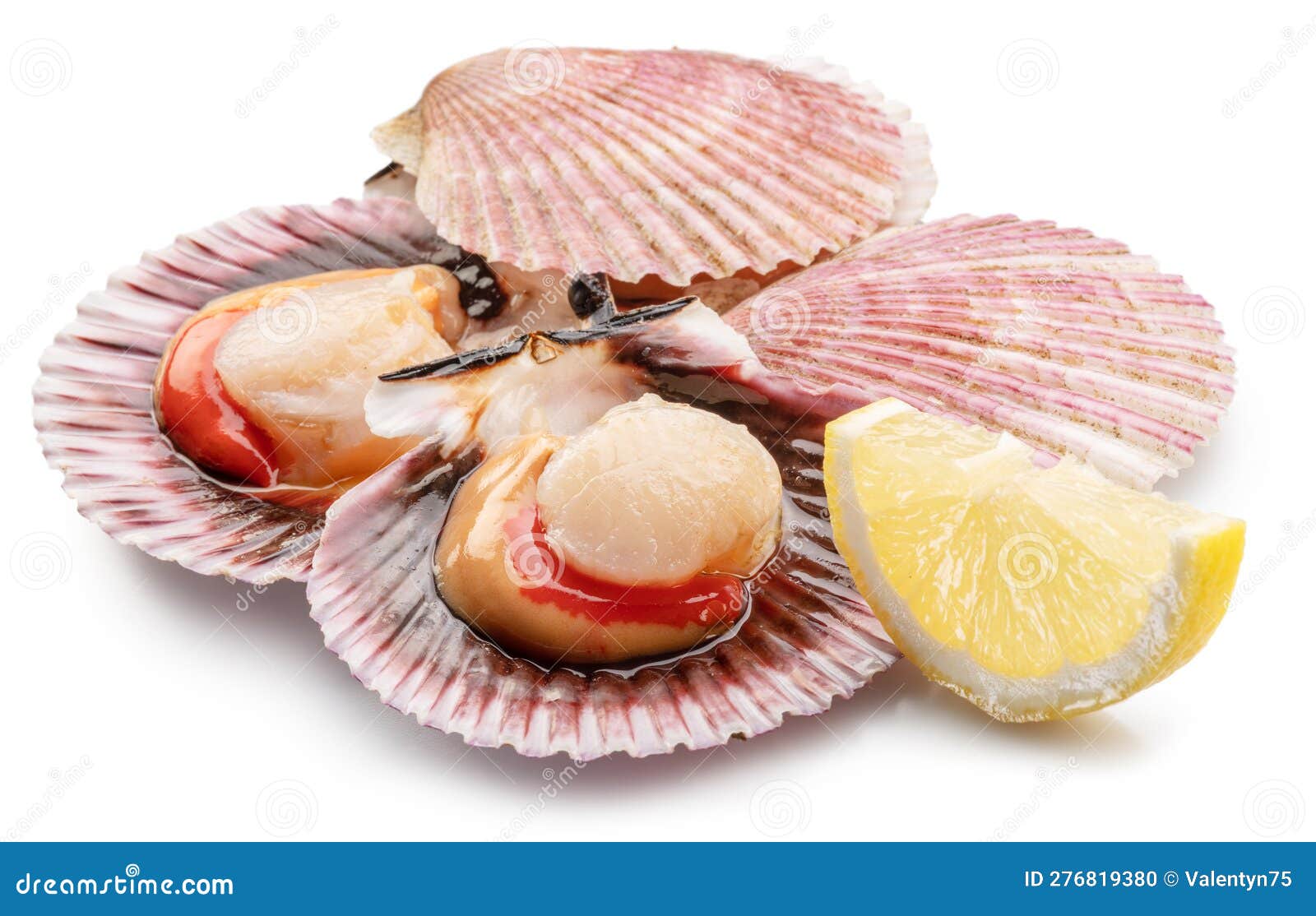 Group of Fresh Opened Scallop with Lemon Slice Close Up. Clipping Path ...