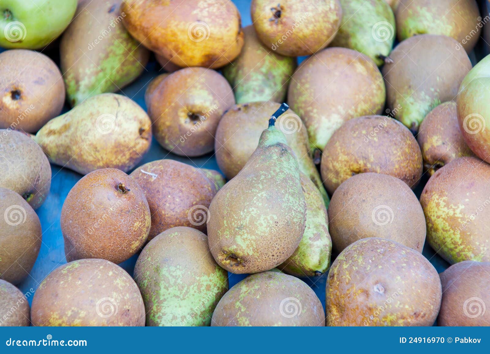 Group of fresh pears stock photo. Image of fresh, diet - 24916970