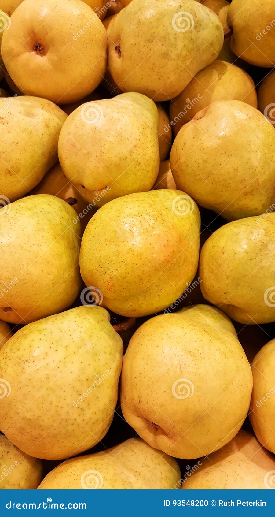 Group of Fresh Pears stock photo. Image of freshness - 93548200