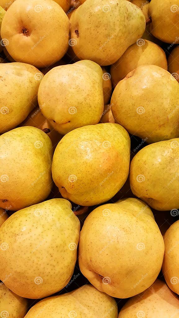 Group of Fresh Pears stock photo. Image of freshness - 93548200