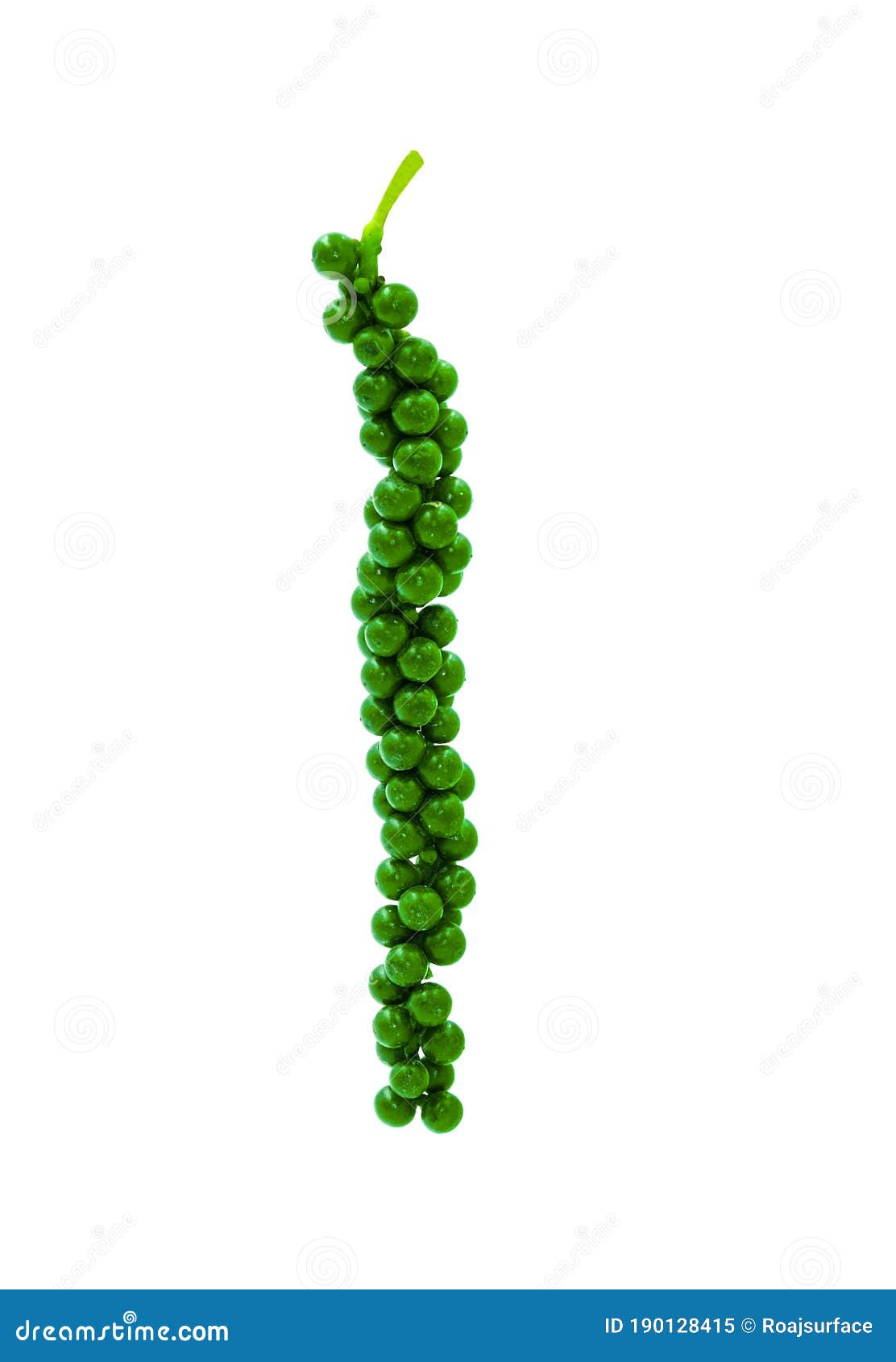 Group of Fresh Pepper Green Color. Isolated on White with Clipping Path ...
