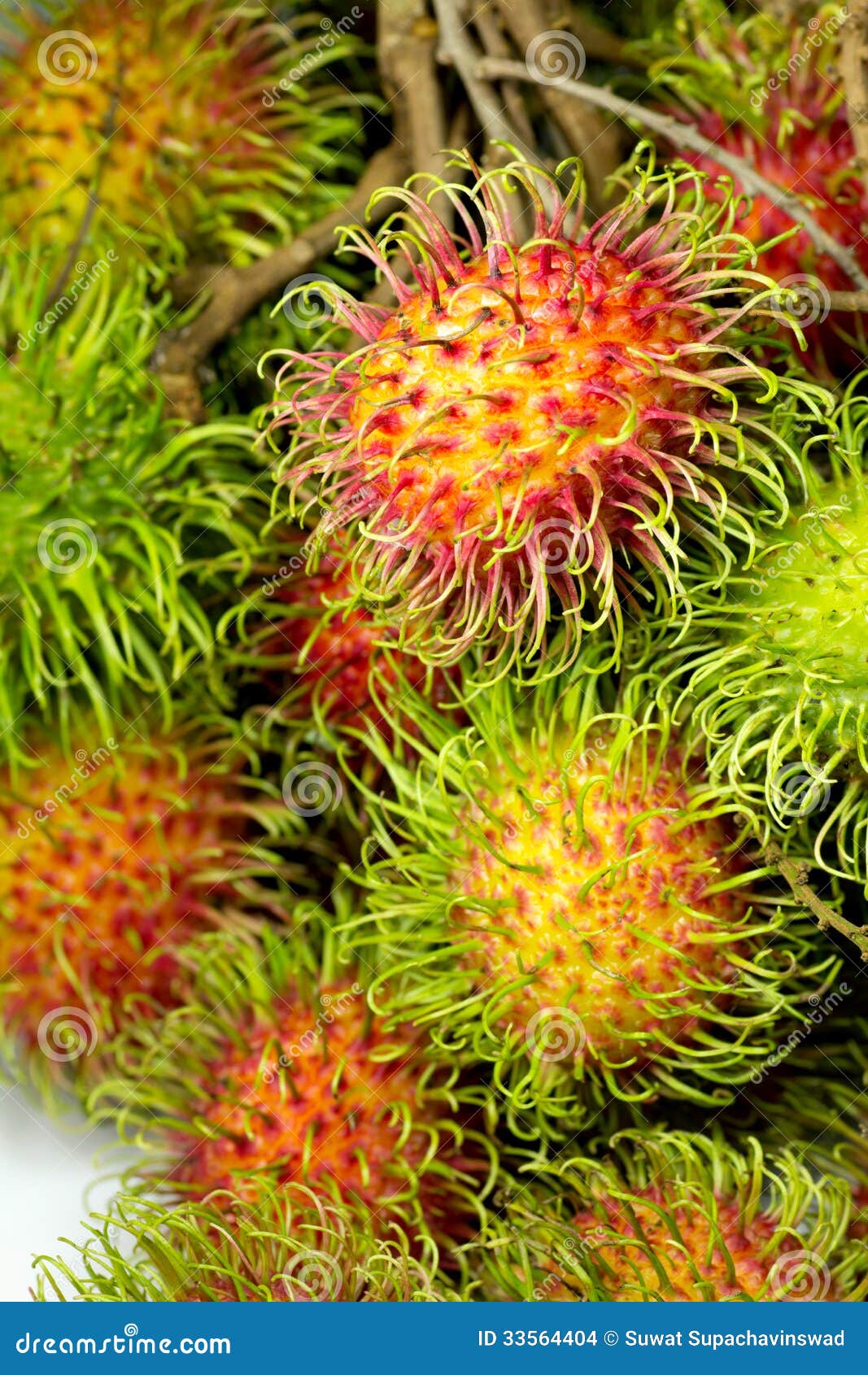 Group of Fresh Rambutan Red Skin Stock Photo - Image of organic, health ...