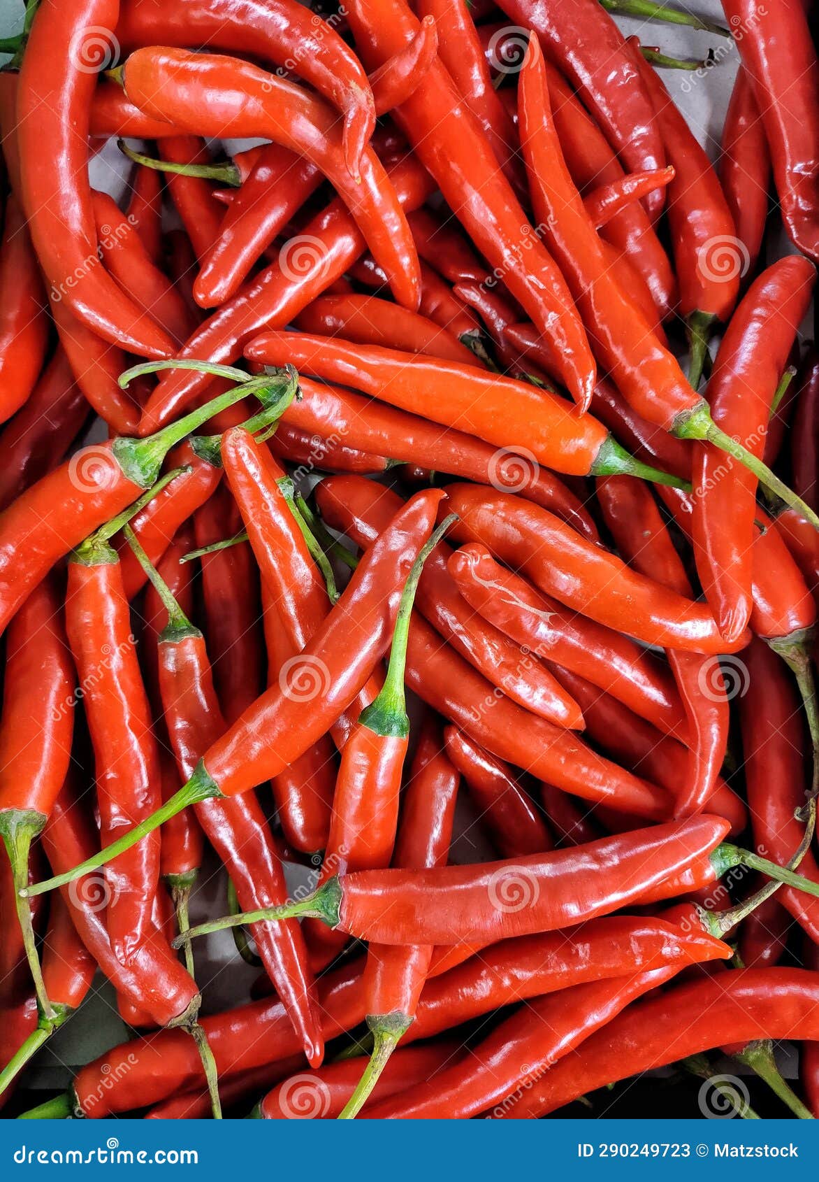 Group of Fresh Red Chilli Pepper Stock Image - Image of tomato, cuisine ...