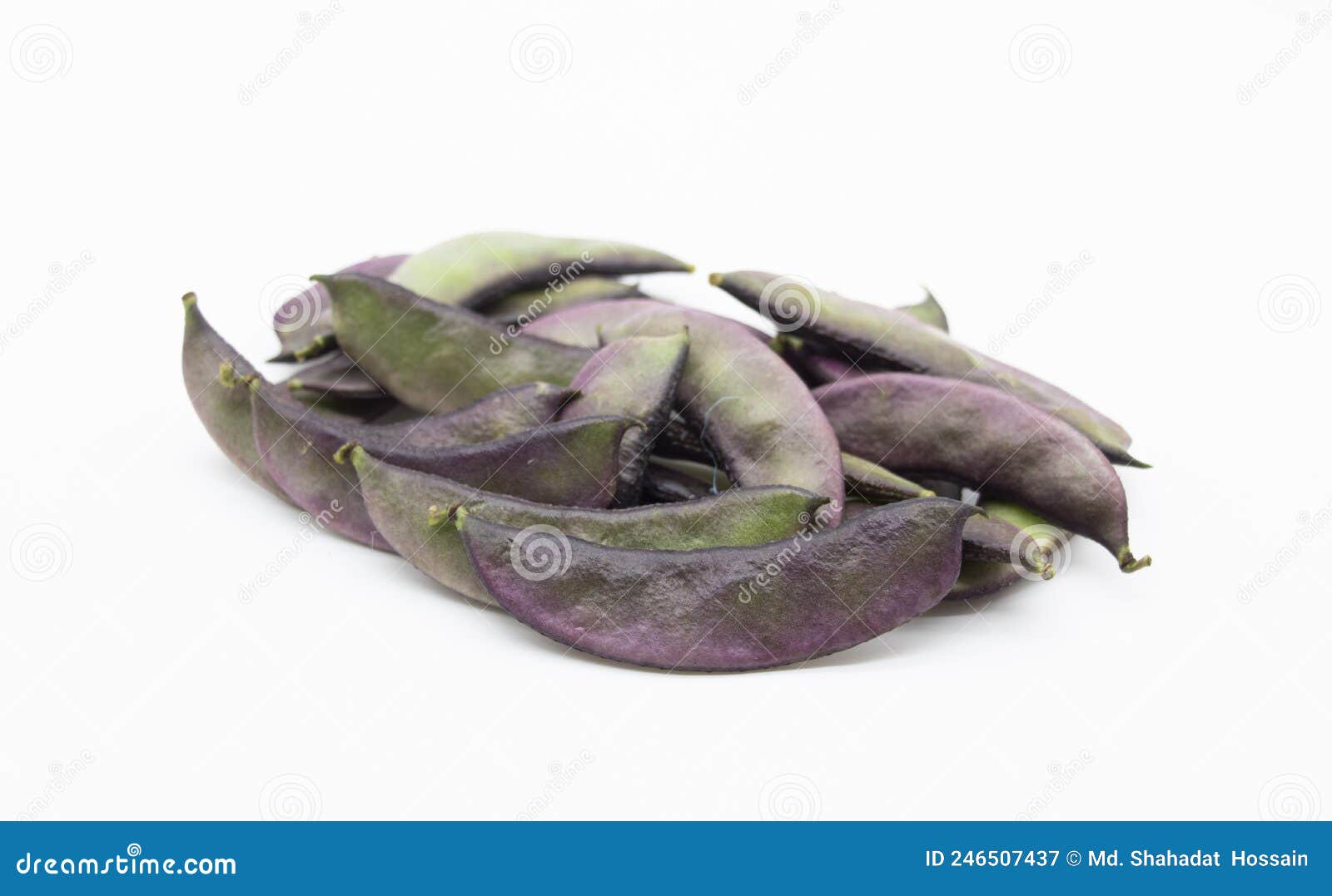 Group of Fresh Red Lima Beans or Sheem Isolate on White Stock Image ...