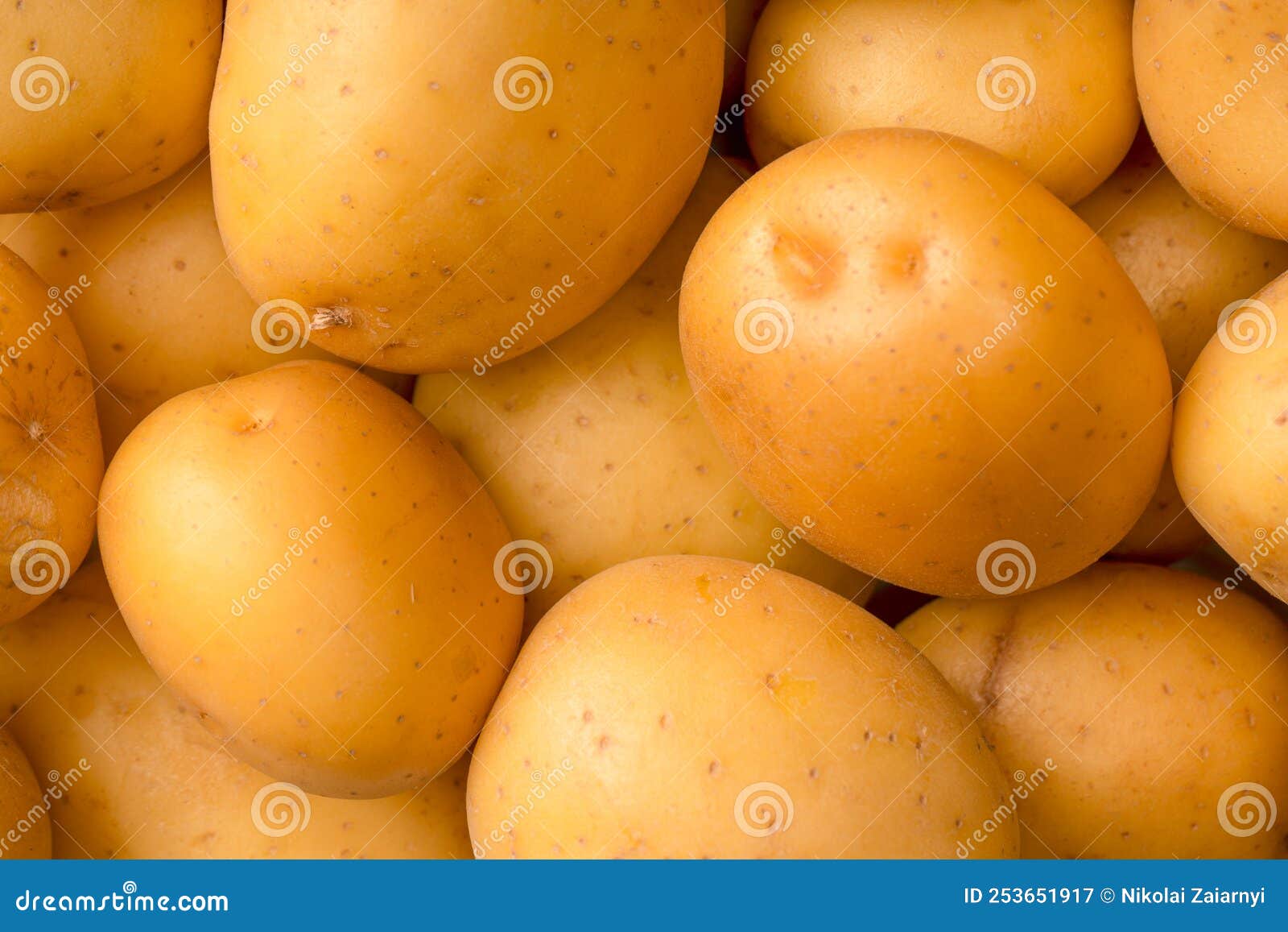 A Group of Fresh Tasty Potato As Background Stock Image - Image of ...