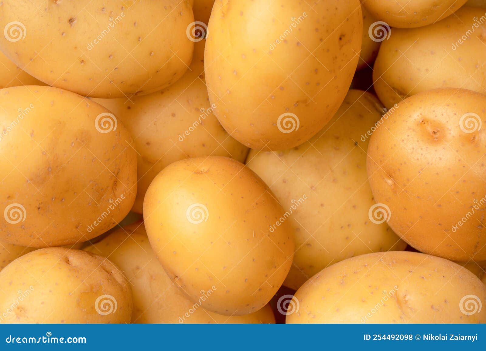 A Group of Fresh Tasty Potato As Background Stock Photo - Image of ...